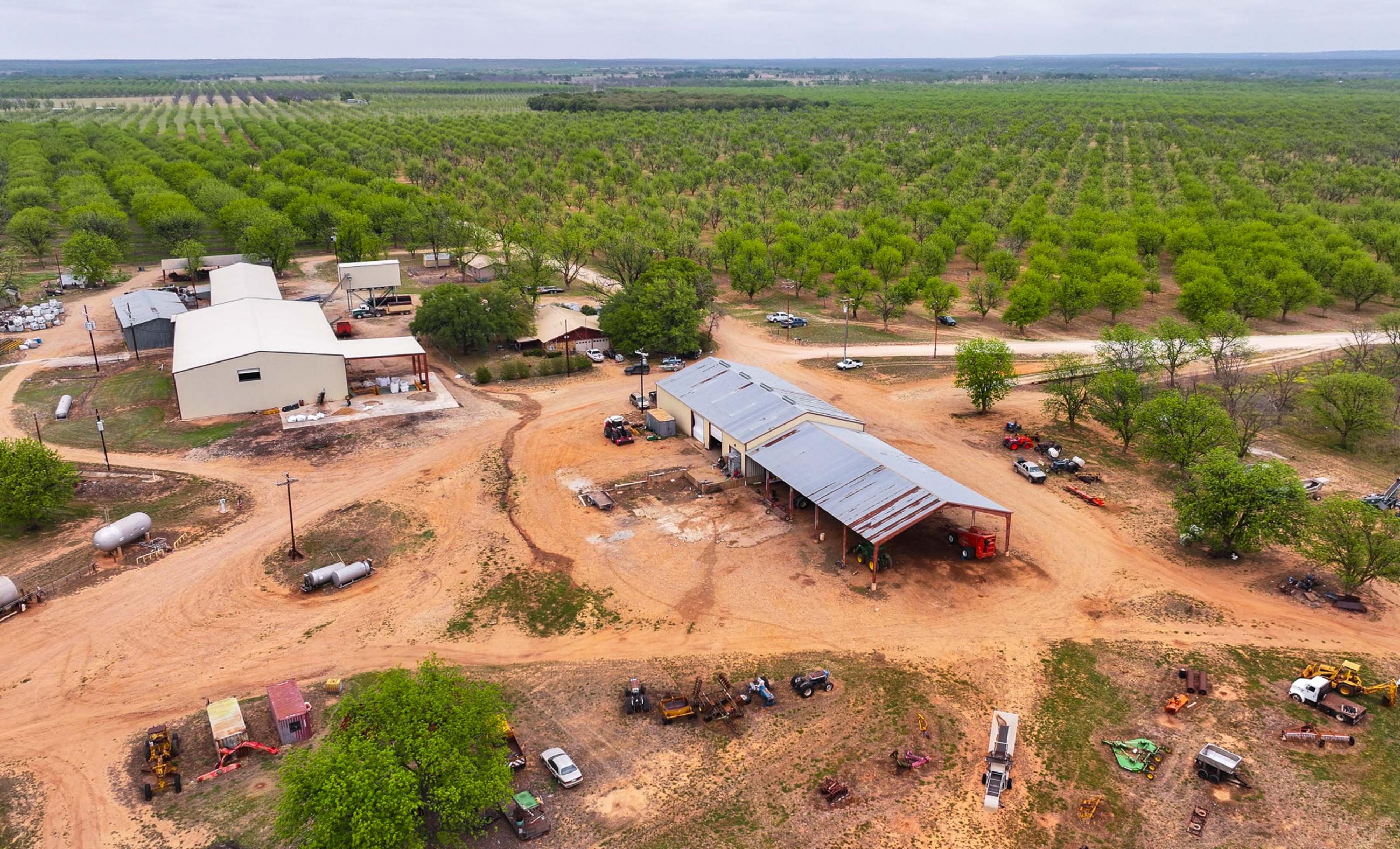 Big Valley Pecan Farm | Goldthwaite, TX | Chas. S. Middleton