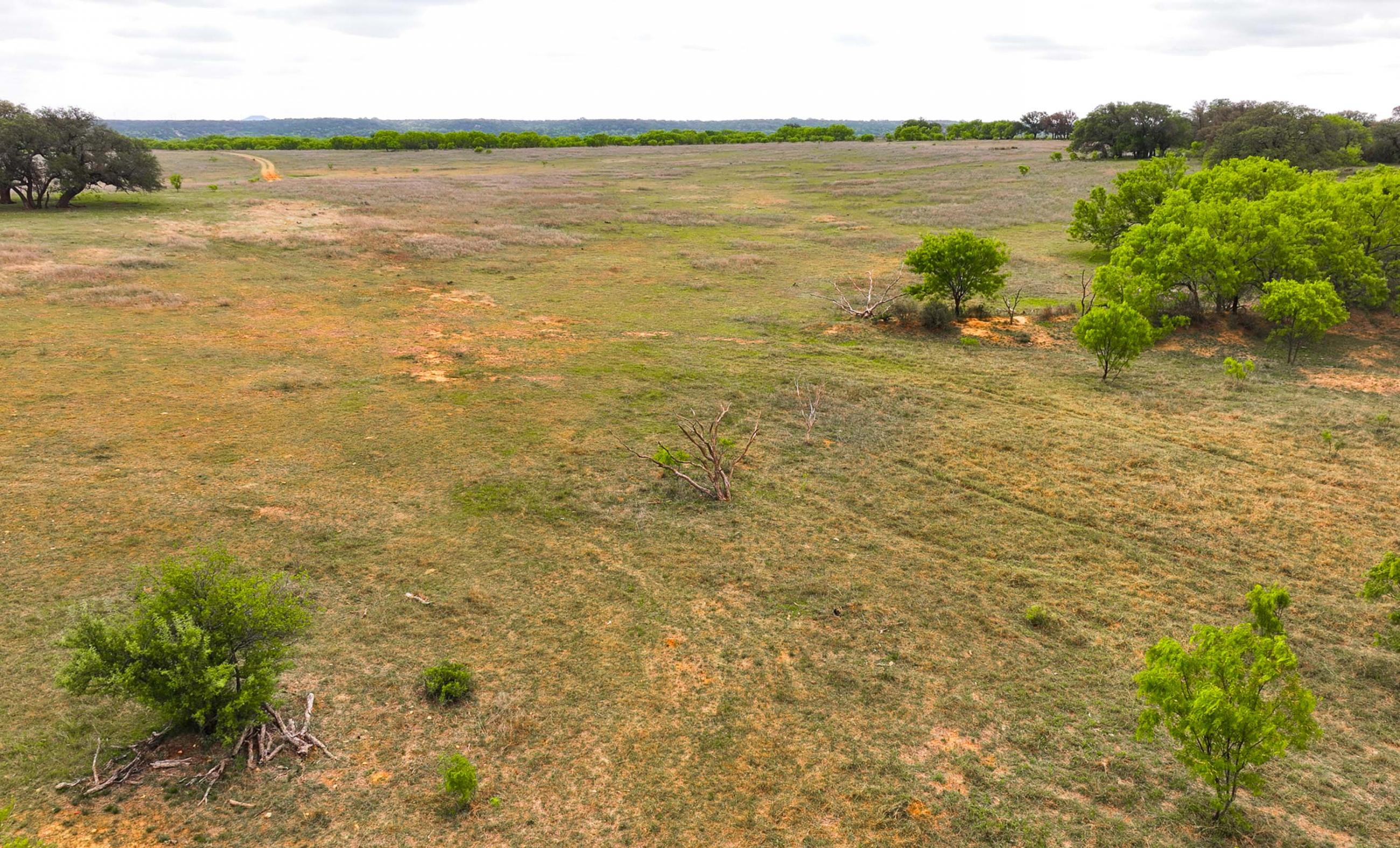 Big Valley Pecan Farm | Goldthwaite, TX | Chas. S. Middleton