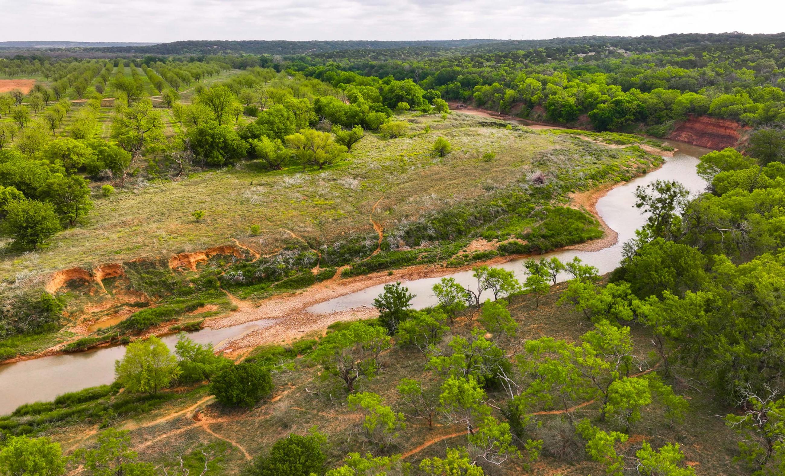 Big Valley Pecan Farm | Goldthwaite, TX | Chas. S. Middleton