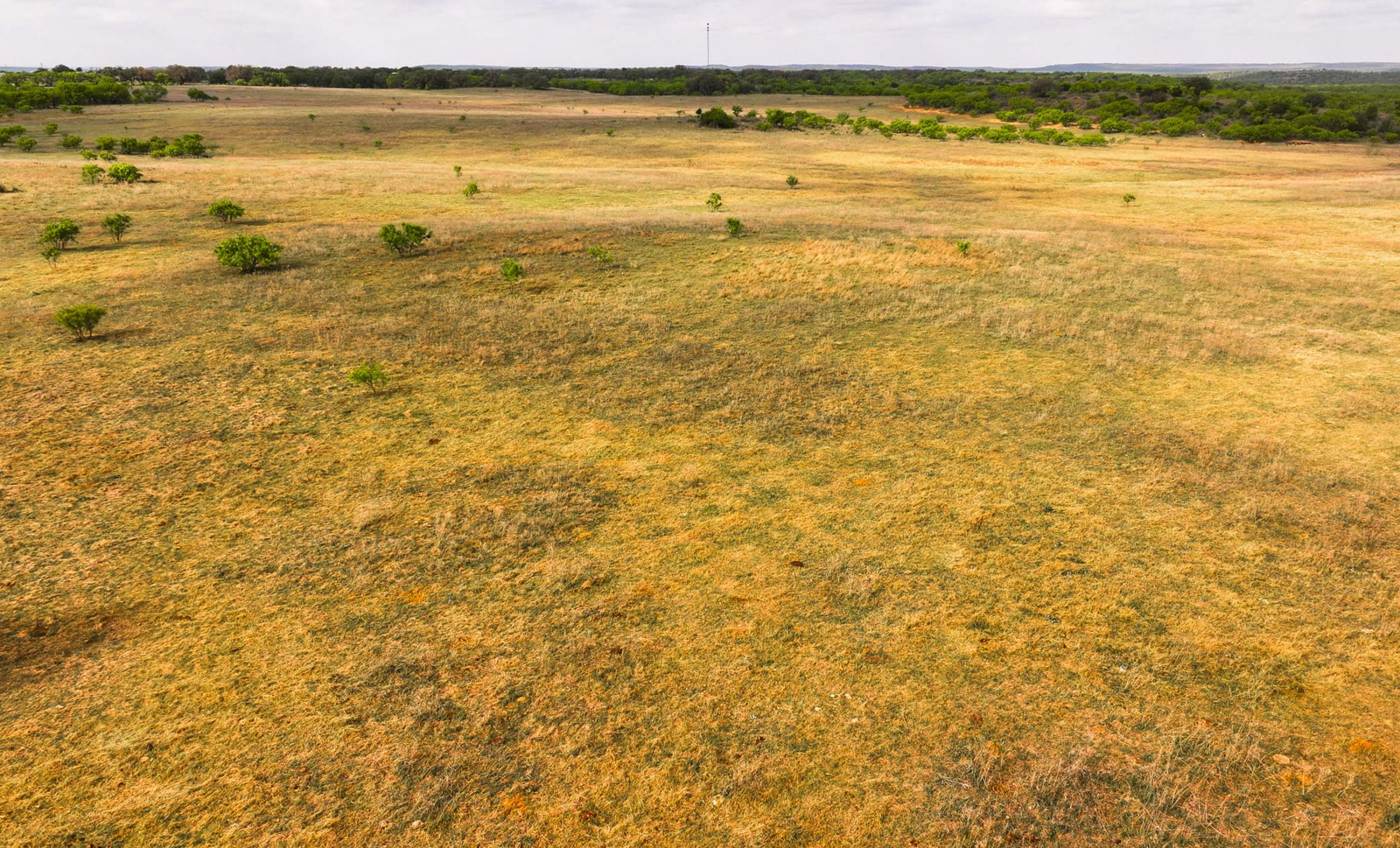 Big Valley Pecan Farm | Goldthwaite, TX | Chas. S. Middleton