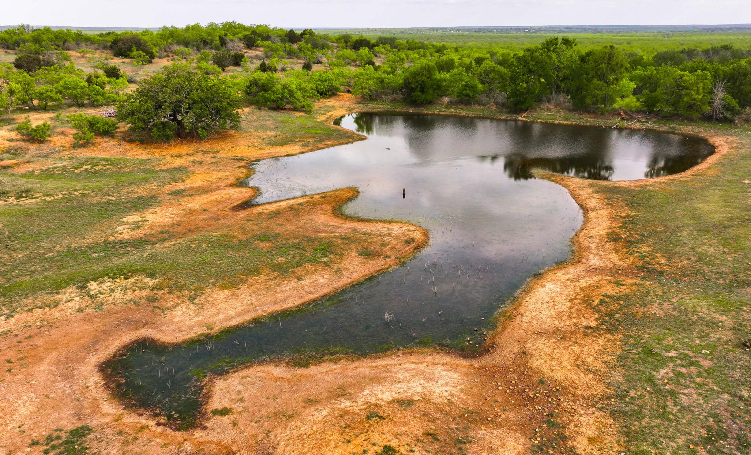 Big Valley Pecan Farm | Goldthwaite, TX | Chas. S. Middleton