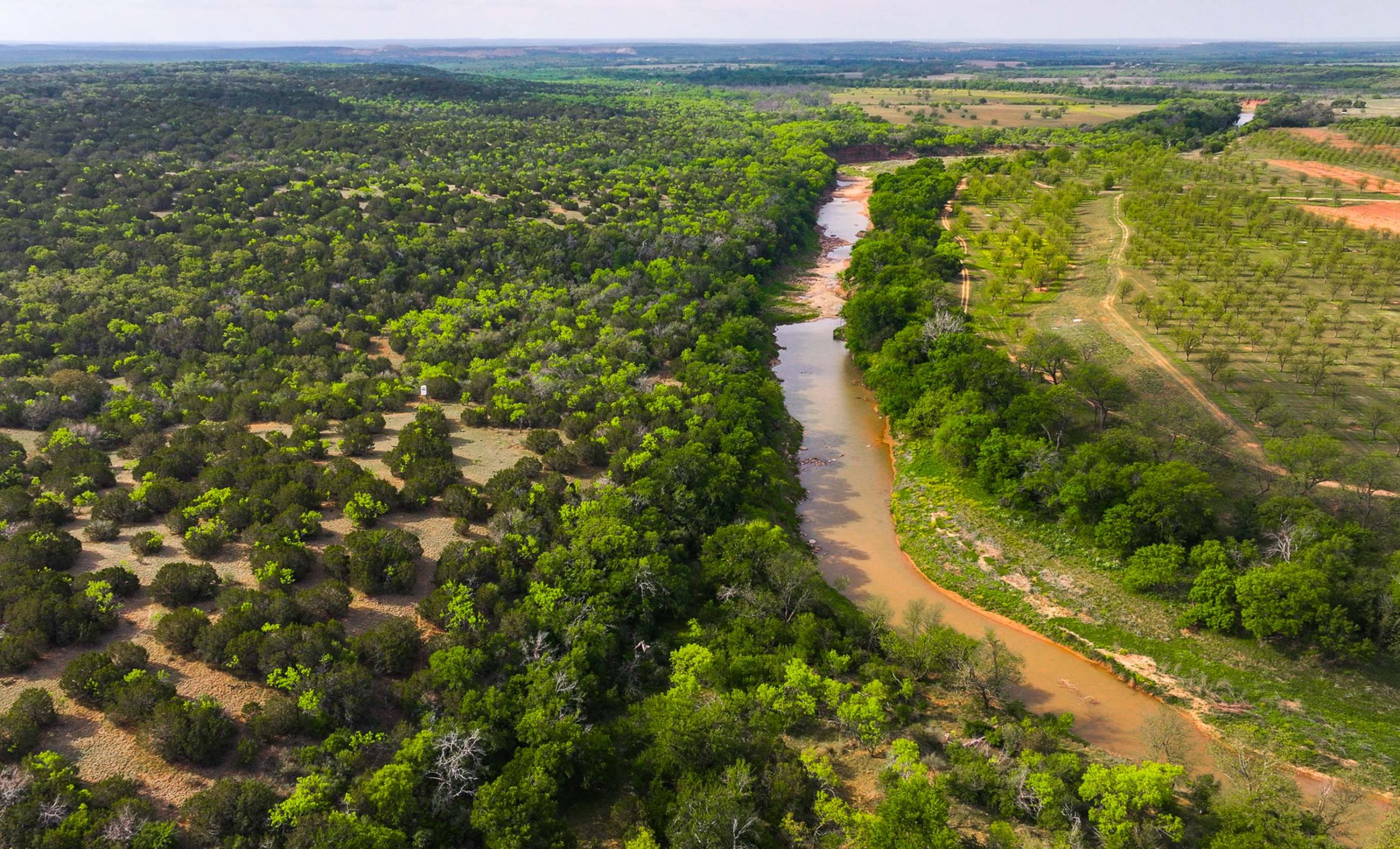 Big Valley Pecan Farm | Goldthwaite, TX | Chas. S. Middleton