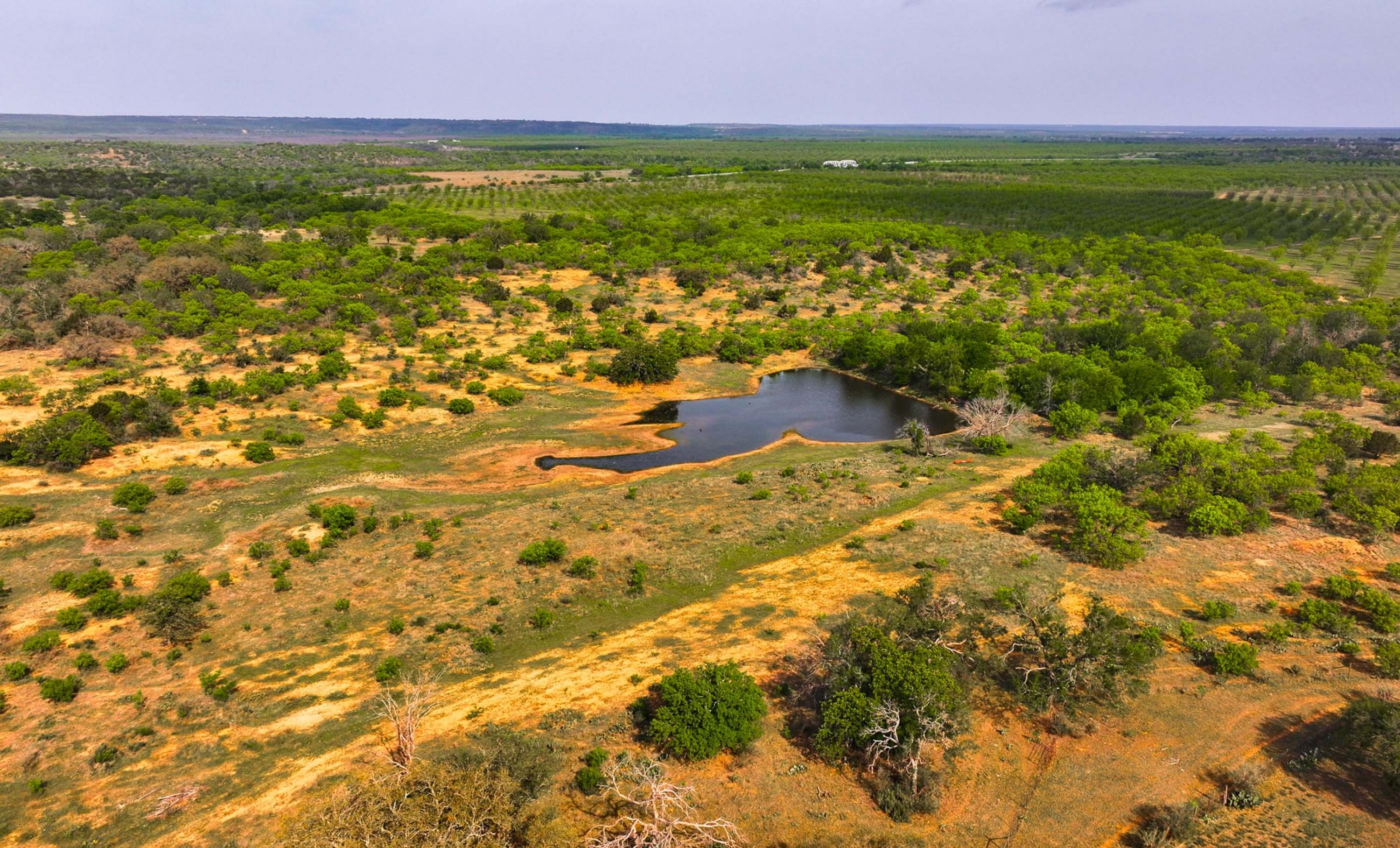 Big Valley Pecan Farm | Goldthwaite, TX | Chas. S. Middleton