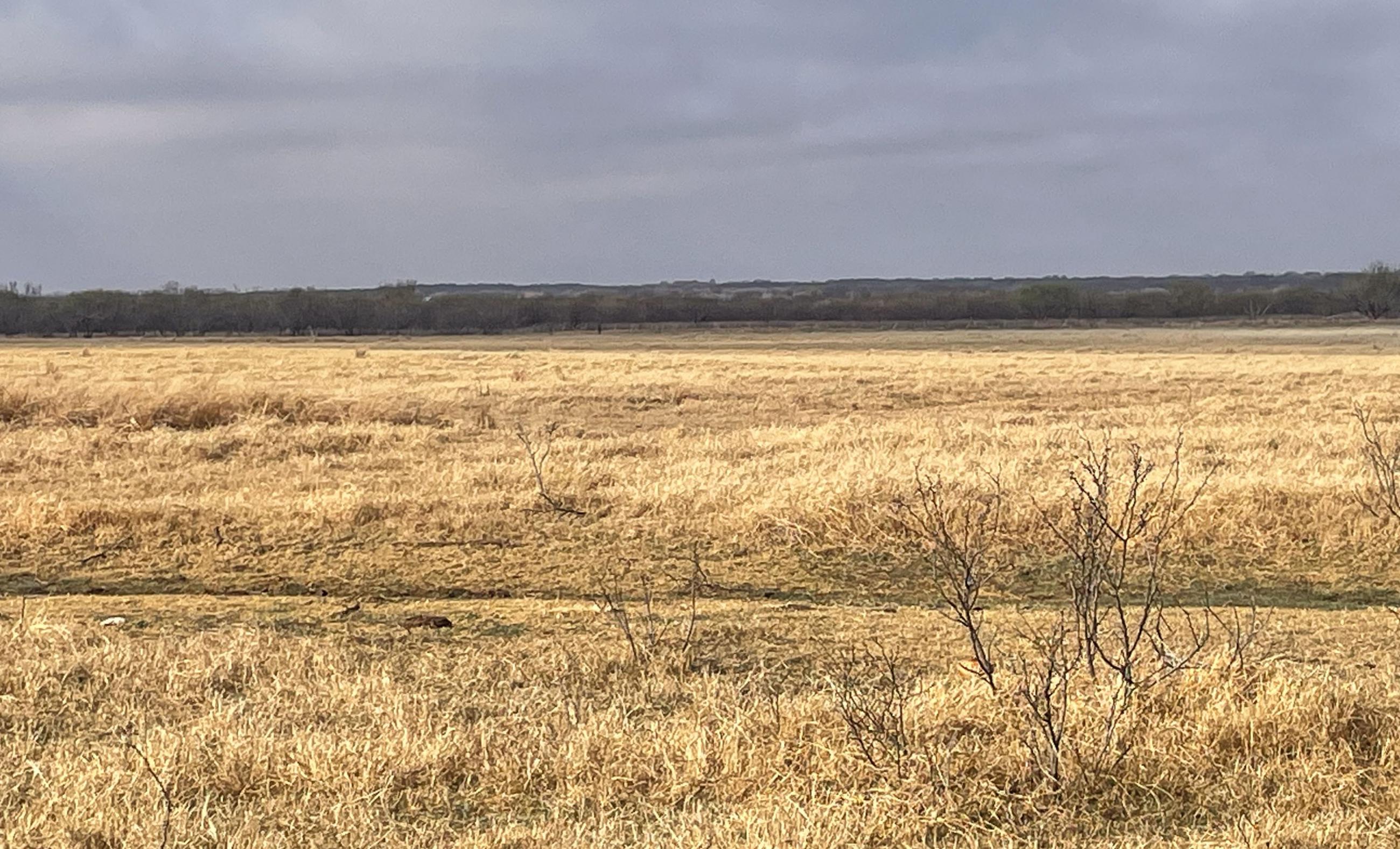 Buffalo Wallow Ranch | Chas S. Middleton