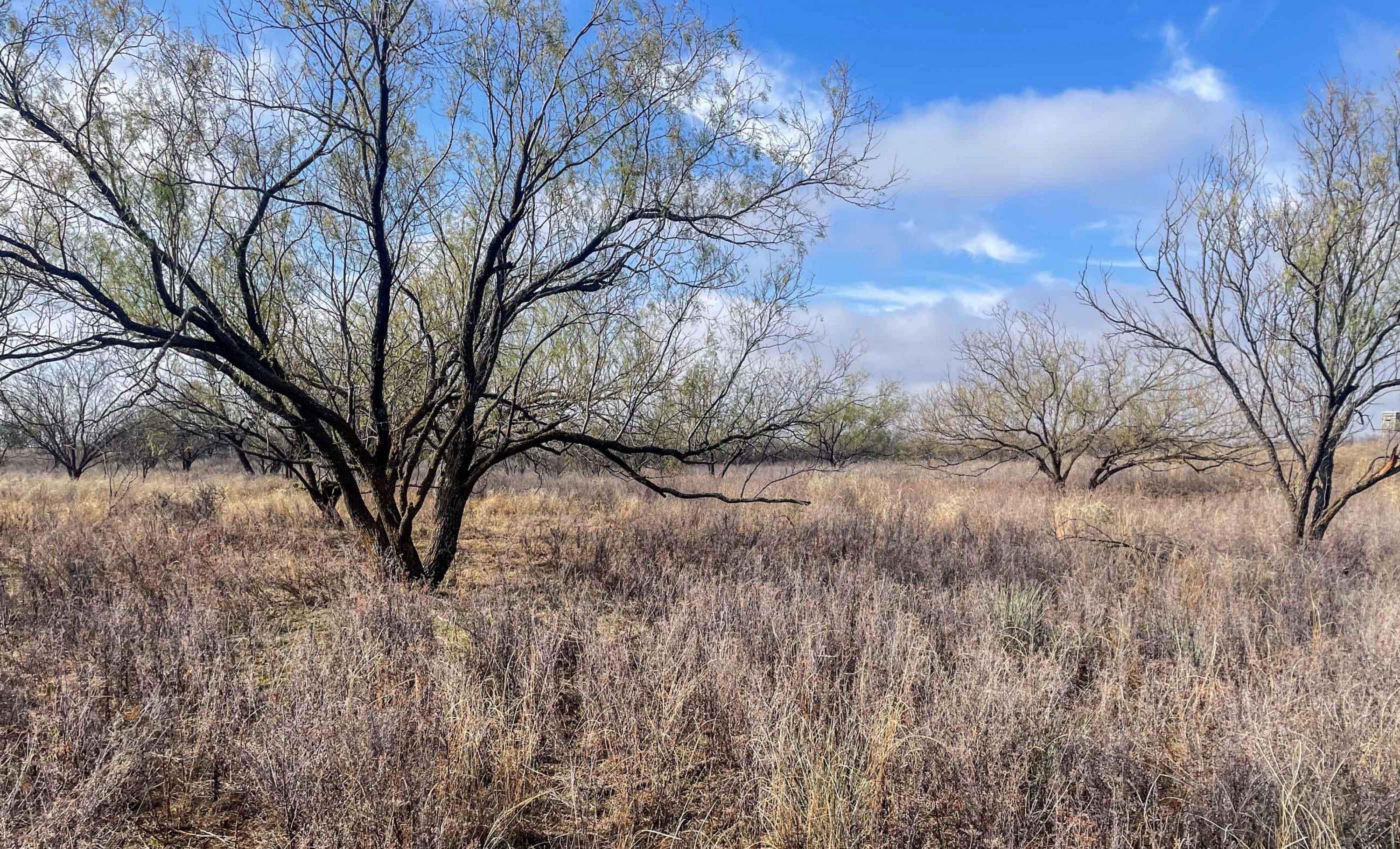 Buffalo Wallow Ranch | Chas S. Middleton