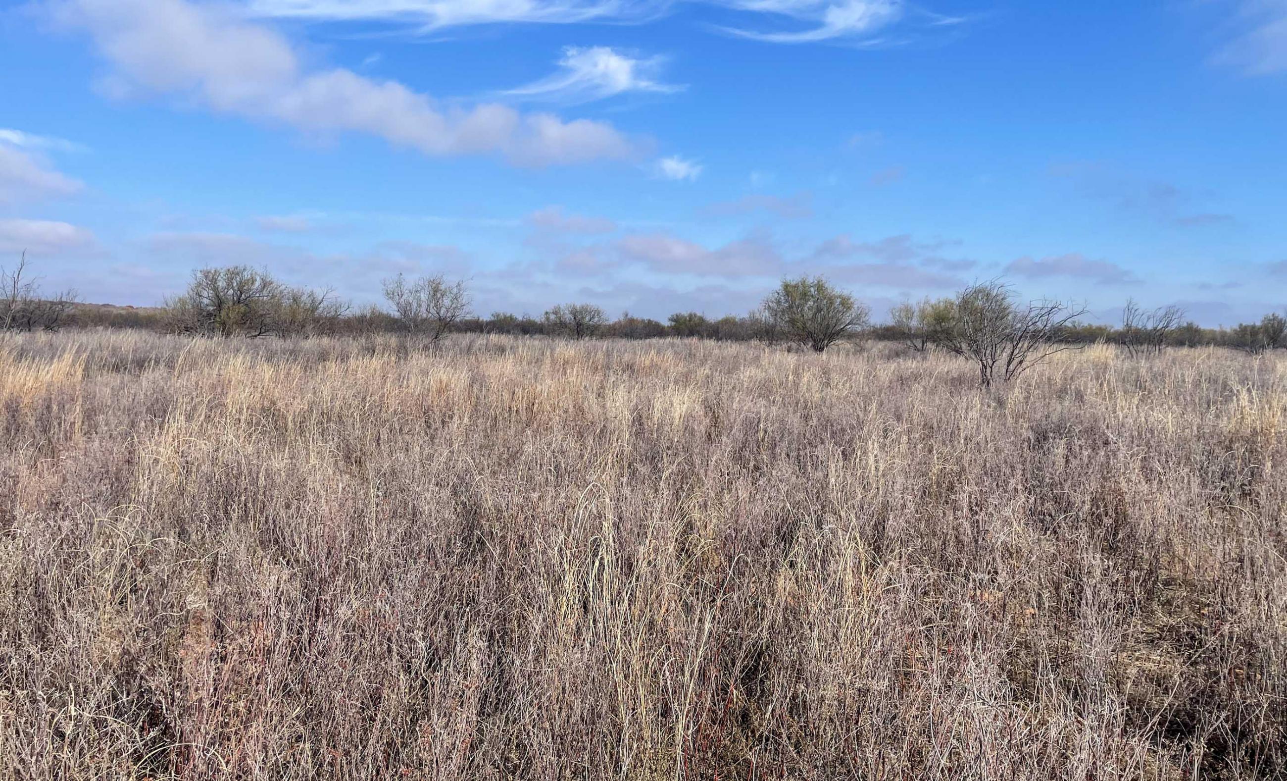 Buffalo Wallow Ranch | Chas S. Middleton