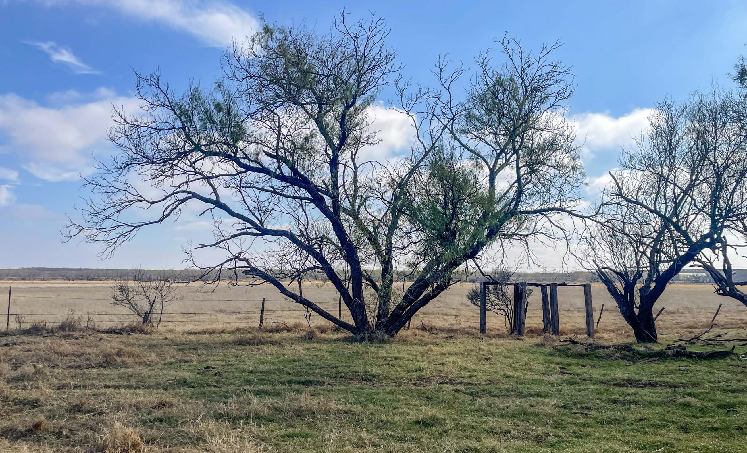 Buffalo Wallow Ranch | Chas S. Middleton