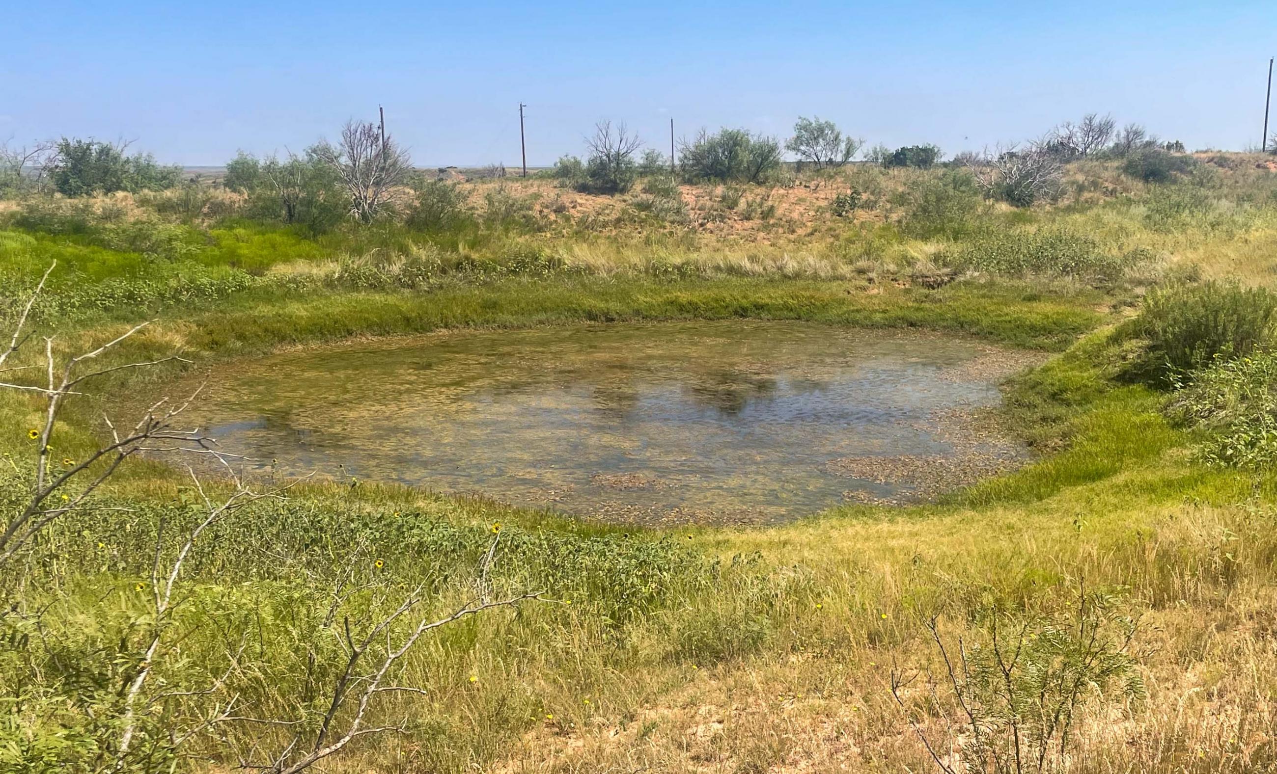 Carter Ranch | Chas S. Middleton