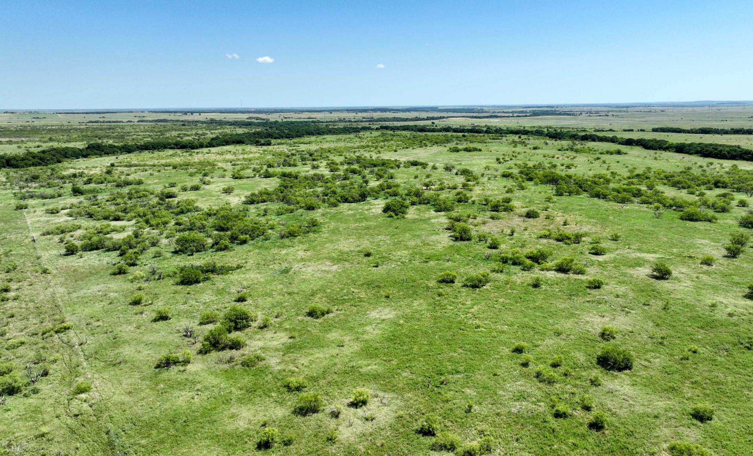 Belknap Creek Ranch | Belcherville, TX | Chas. S. Middleton