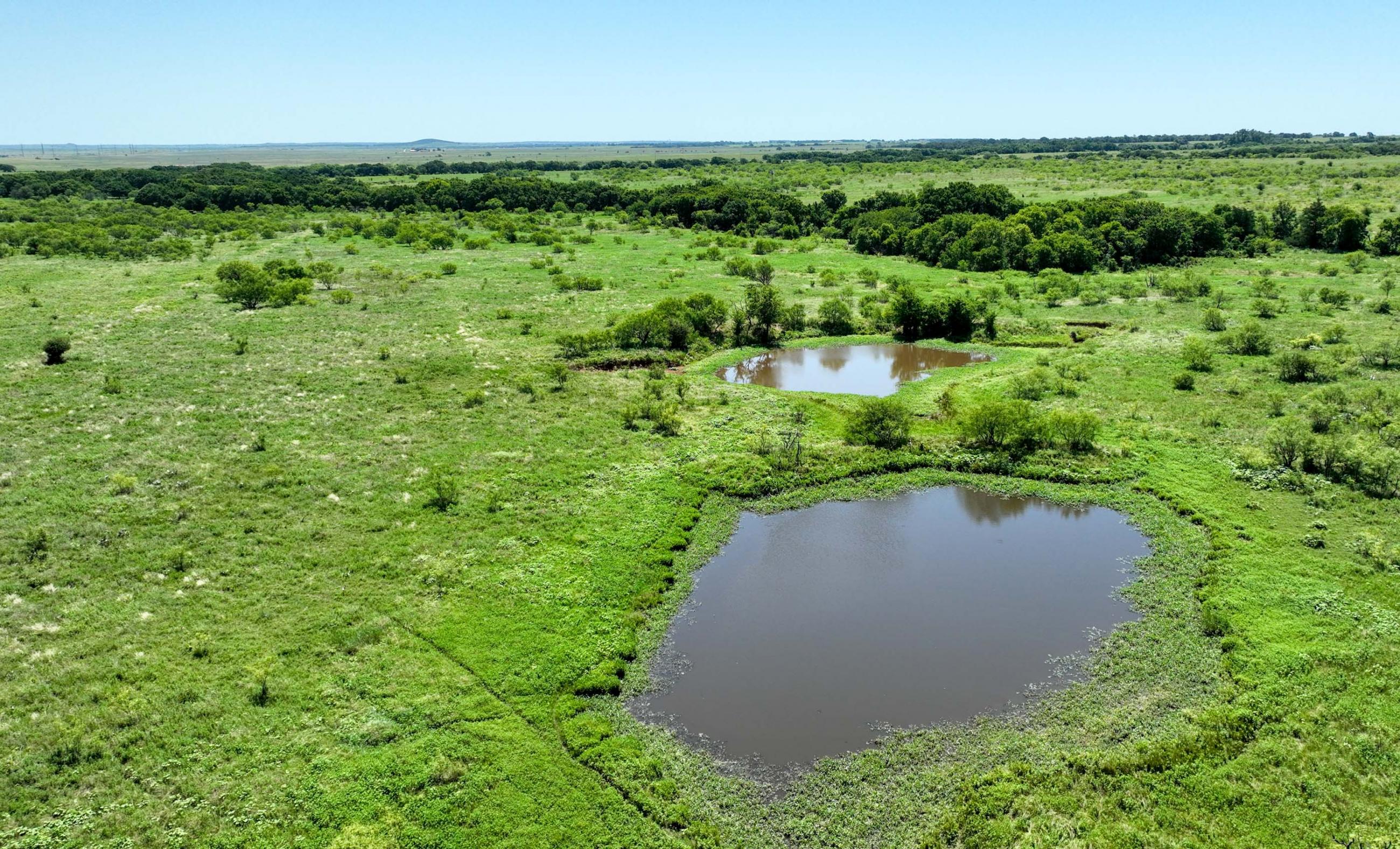 Belknap Creek Ranch | Belcherville, TX | Chas. S. Middleton