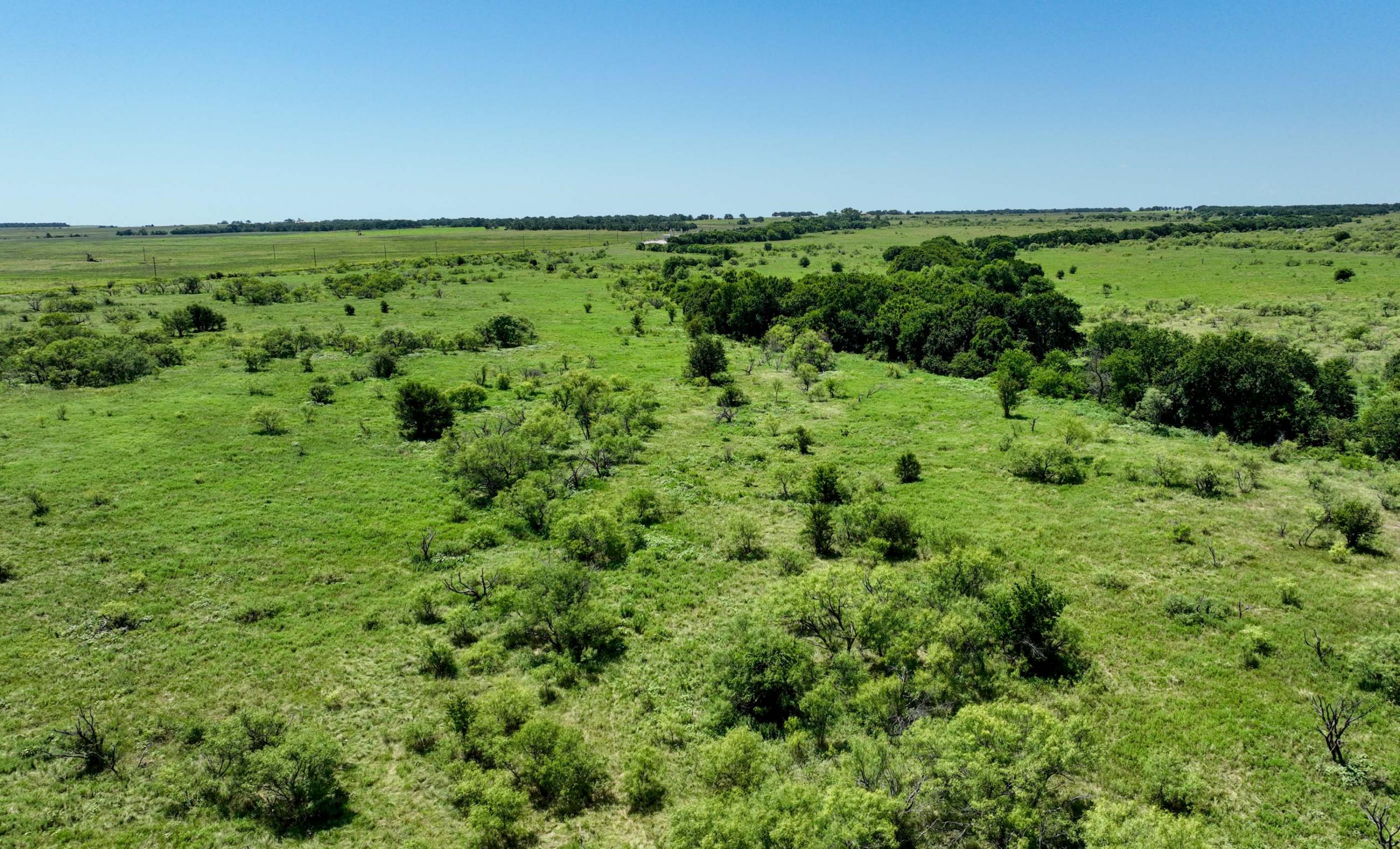 Belknap Creek Ranch | Belcherville, TX | Chas. S. Middleton