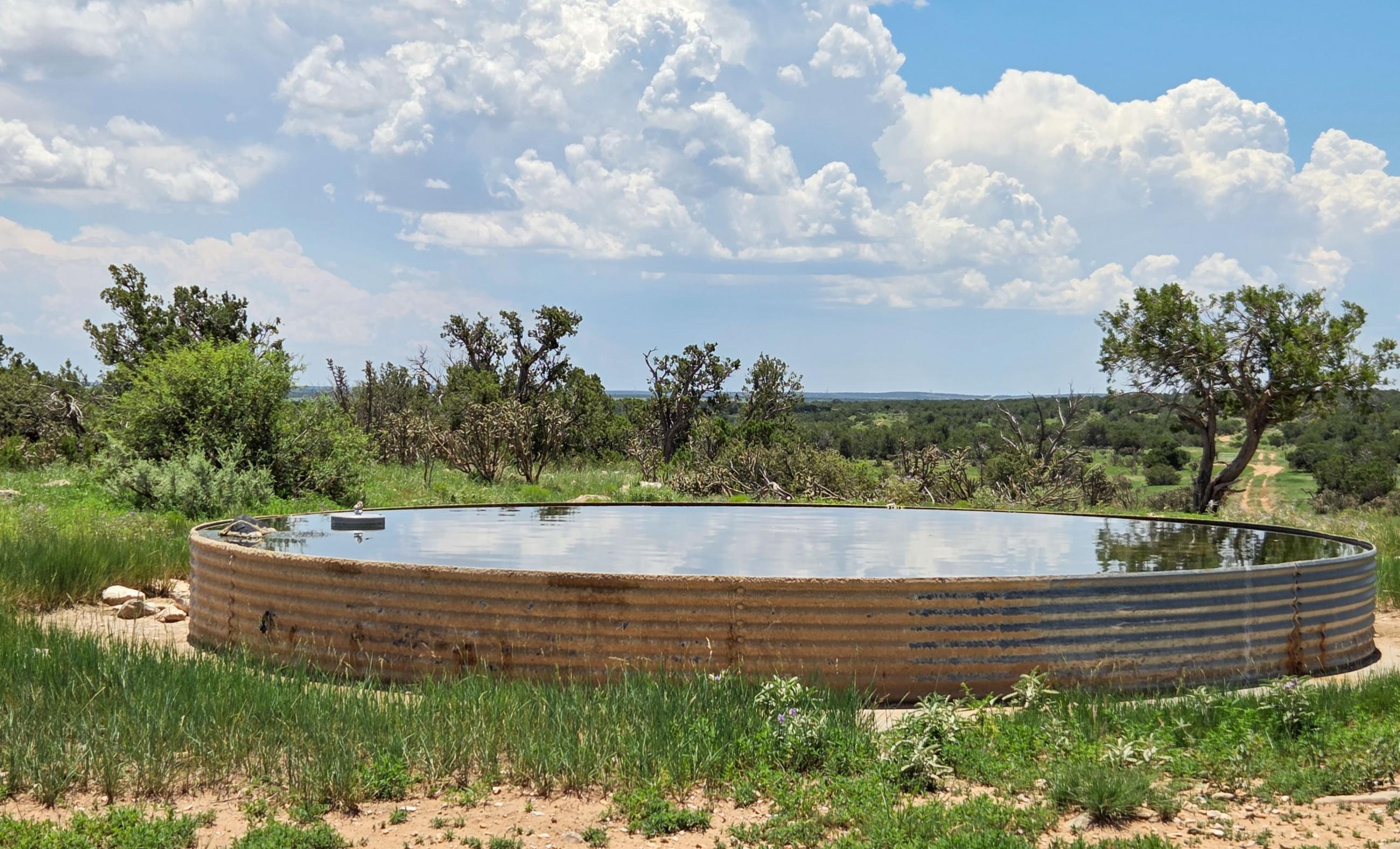 LetItRide Ranch | Chas S. Middleton
