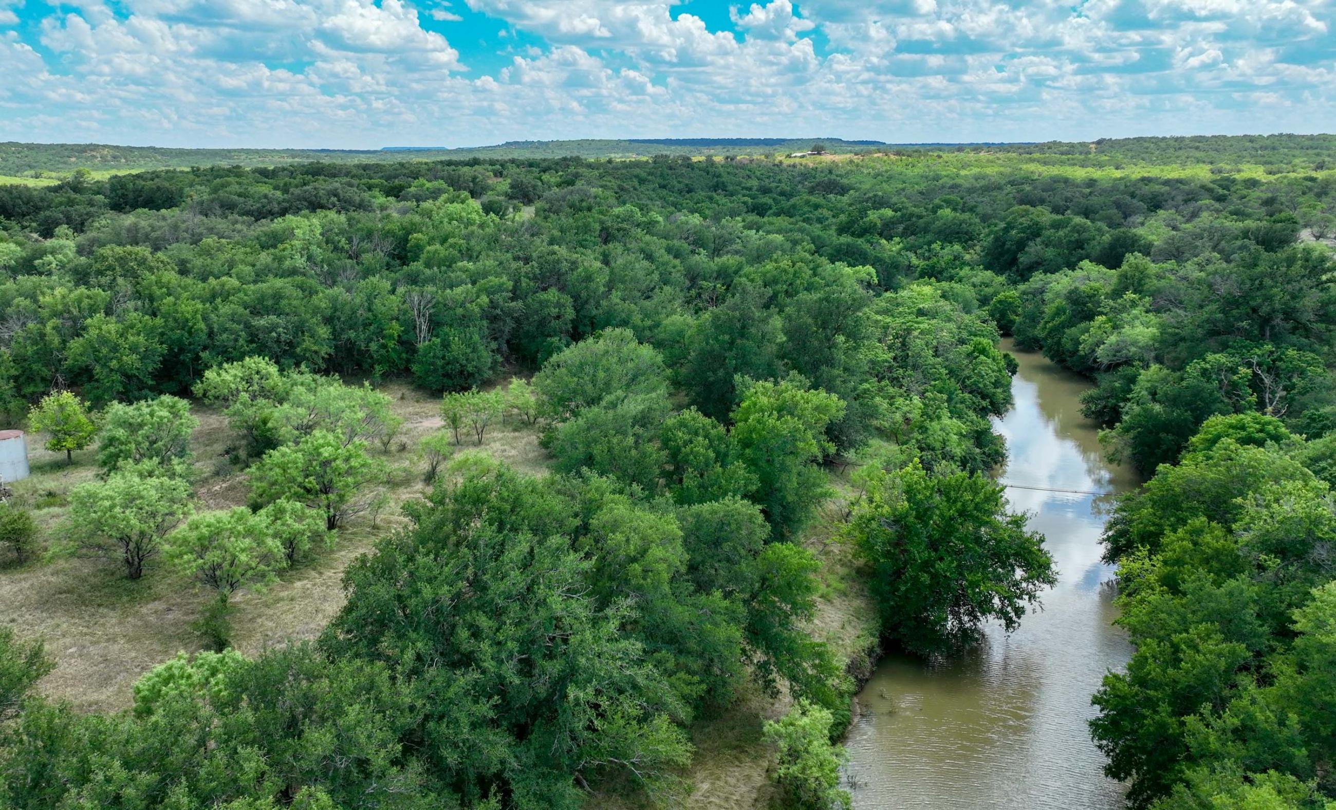 Warren Ranch Curry Pasture | Chas S. Middleton