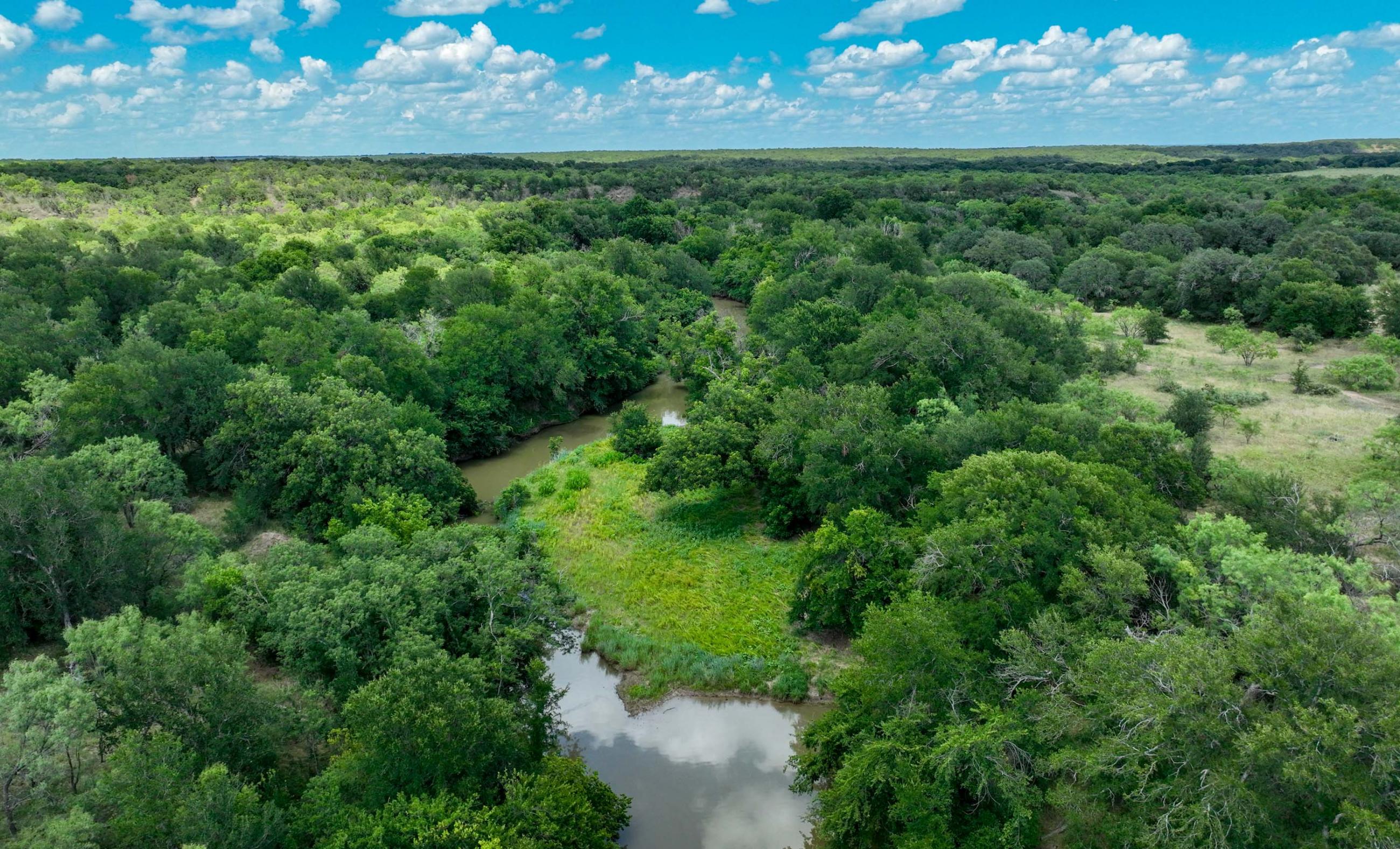 Warren Ranch Curry Pasture | Chas S. Middleton