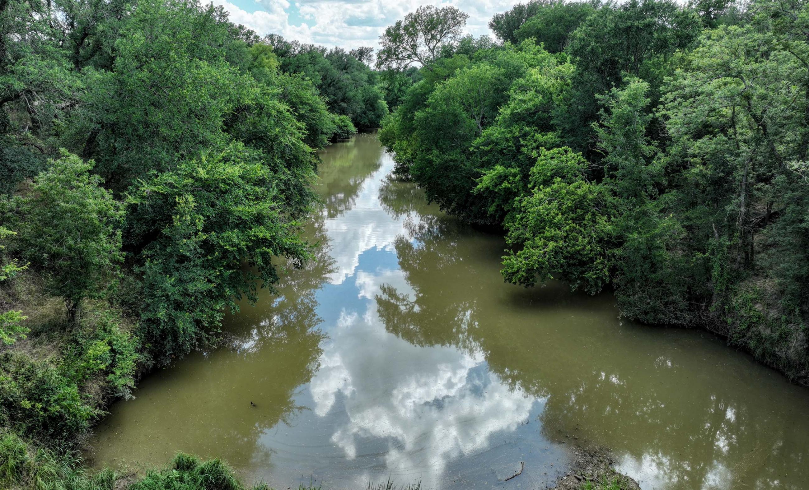 Warren Ranch Curry Pasture | Chas S. Middleton