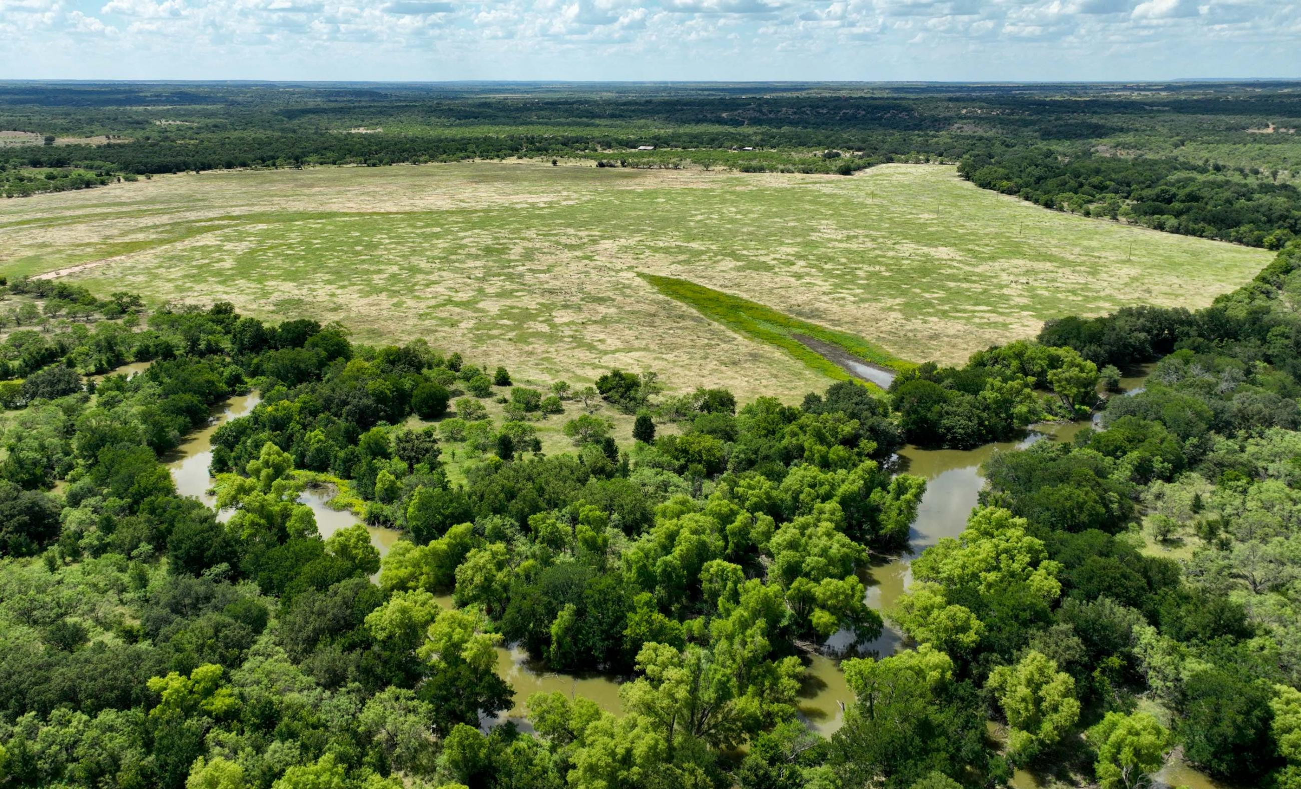 Warren Ranch Curry Pasture | Chas S. Middleton