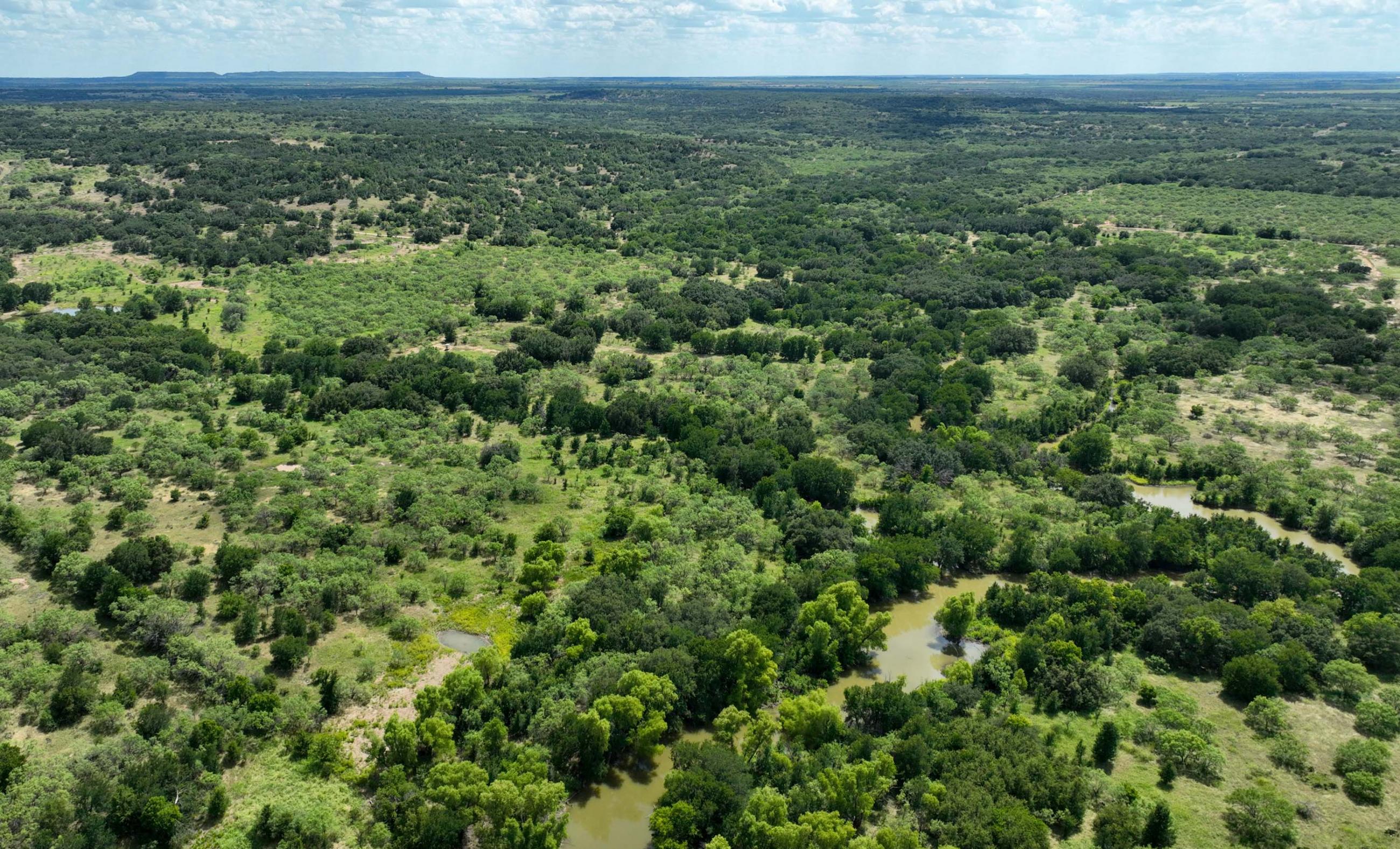 Warren Ranch Curry Pasture | Chas S. Middleton