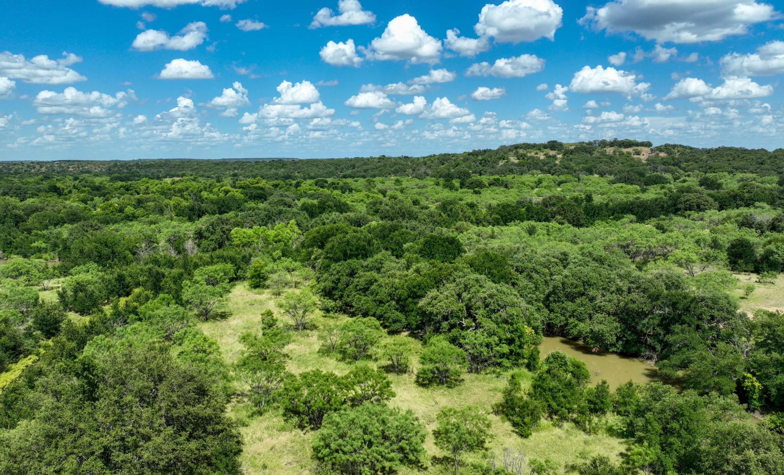 Warren Ranch Curry Pasture | Chas S. Middleton