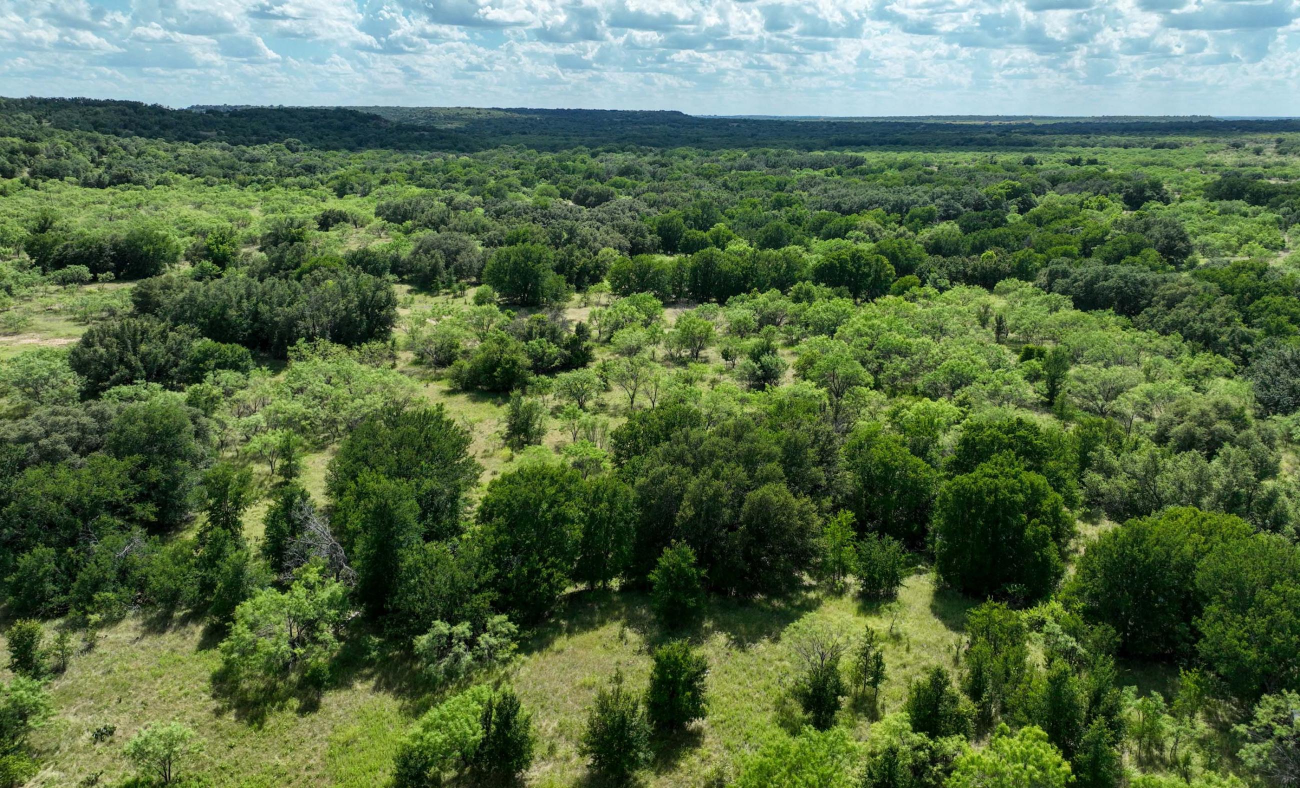 Warren Ranch Curry Pasture | Chas S. Middleton
