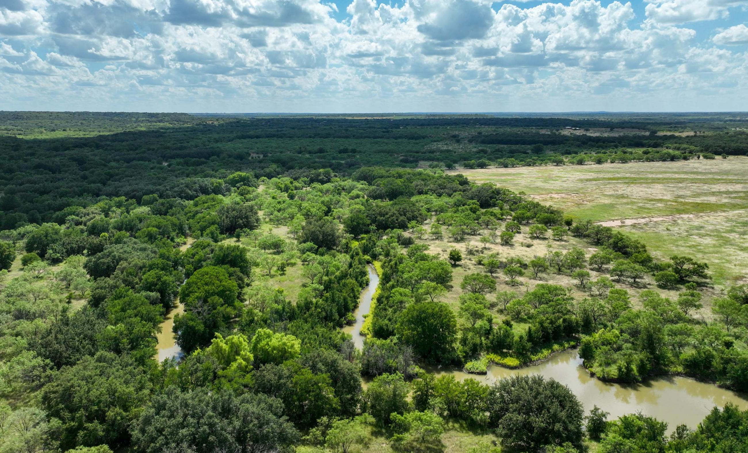 Warren Ranch Curry Pasture | Chas S. Middleton