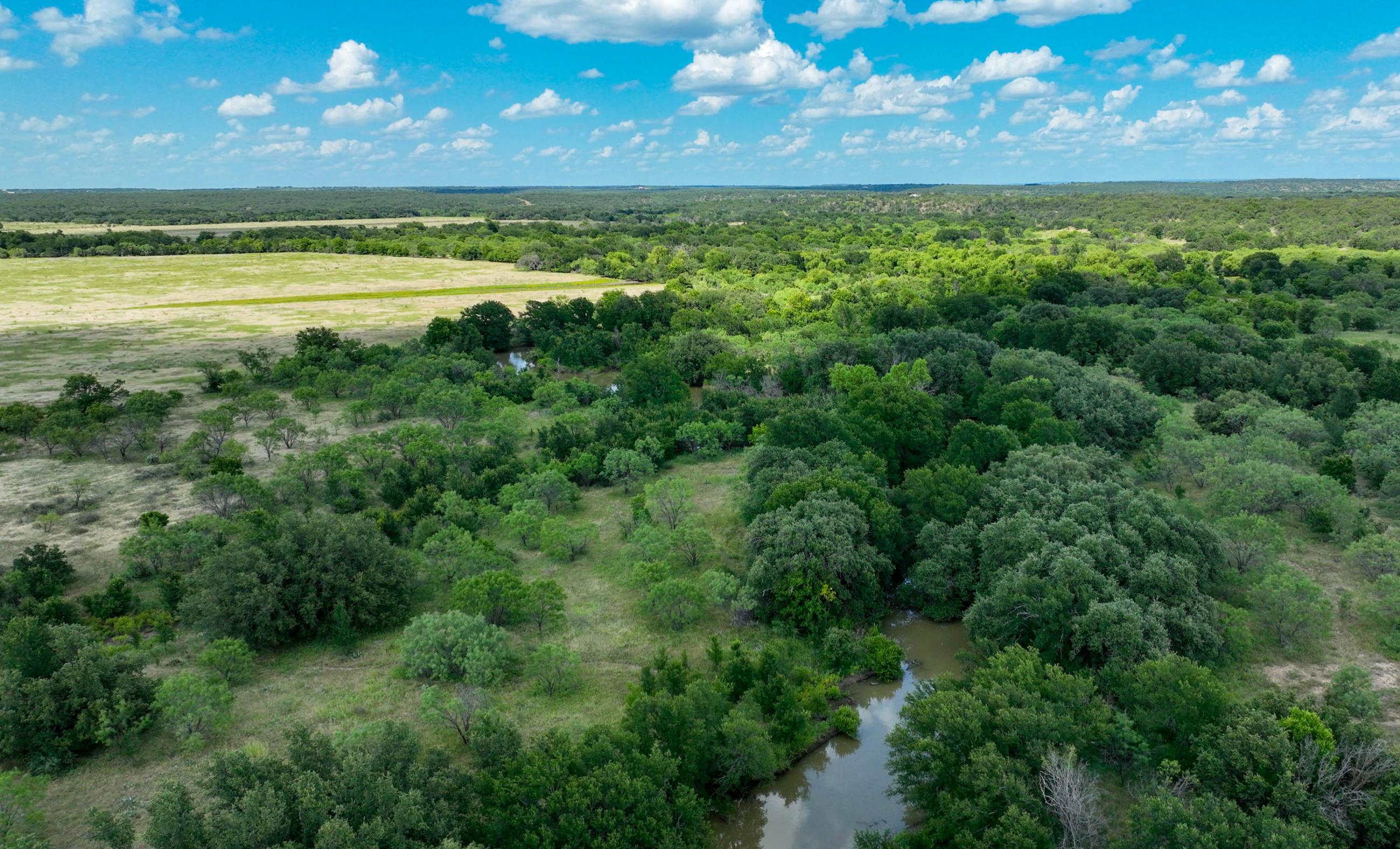 Warren Ranch Curry Pasture | Chas S. Middleton