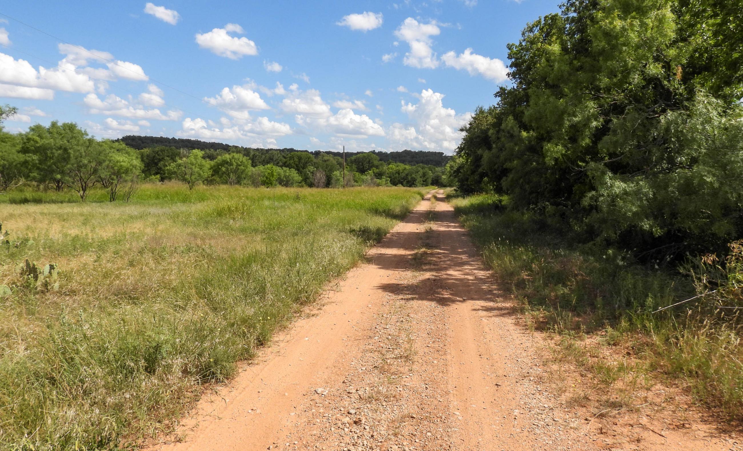 Warren Ranch Curry Pasture | Chas S. Middleton