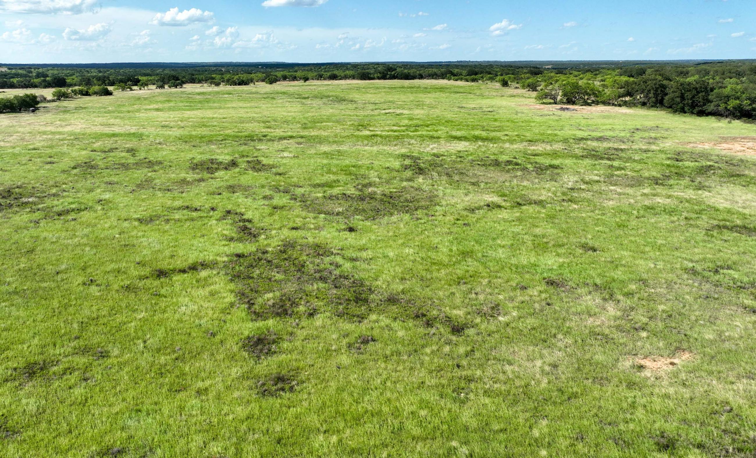 Warren Ranch Dennis 1 Pasture | Chas S. Middleton