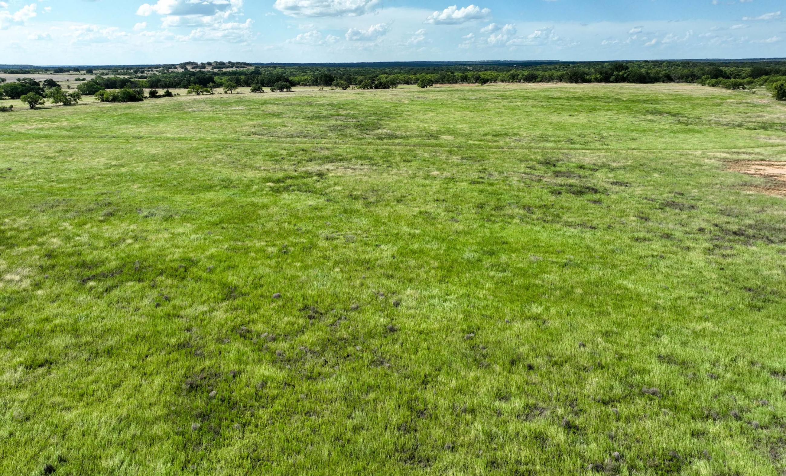 Warren Ranch Dennis 1 Pasture | Chas S. Middleton