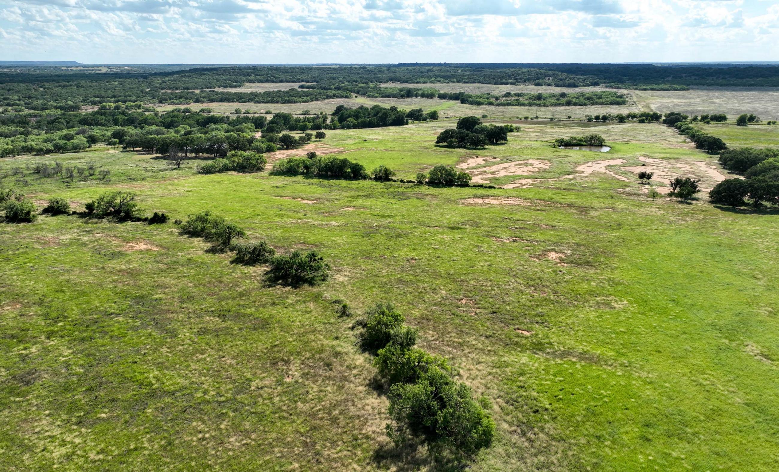Warren Ranch Dennis 1 Pasture | Chas S. Middleton