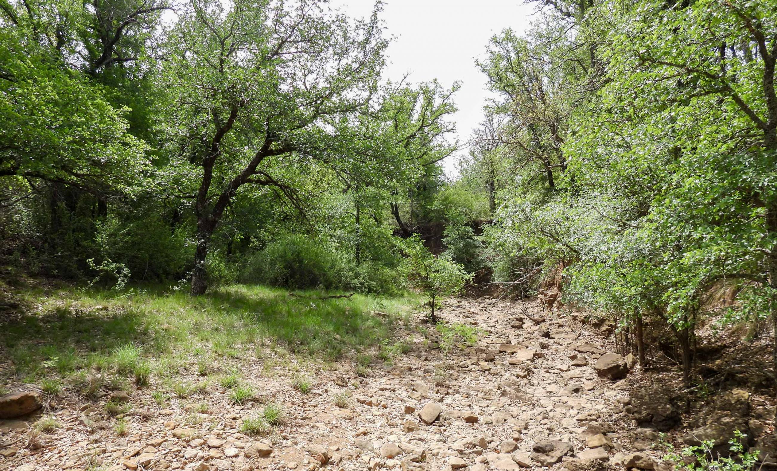 Watts Creek Ranch | Chas S. Middleton