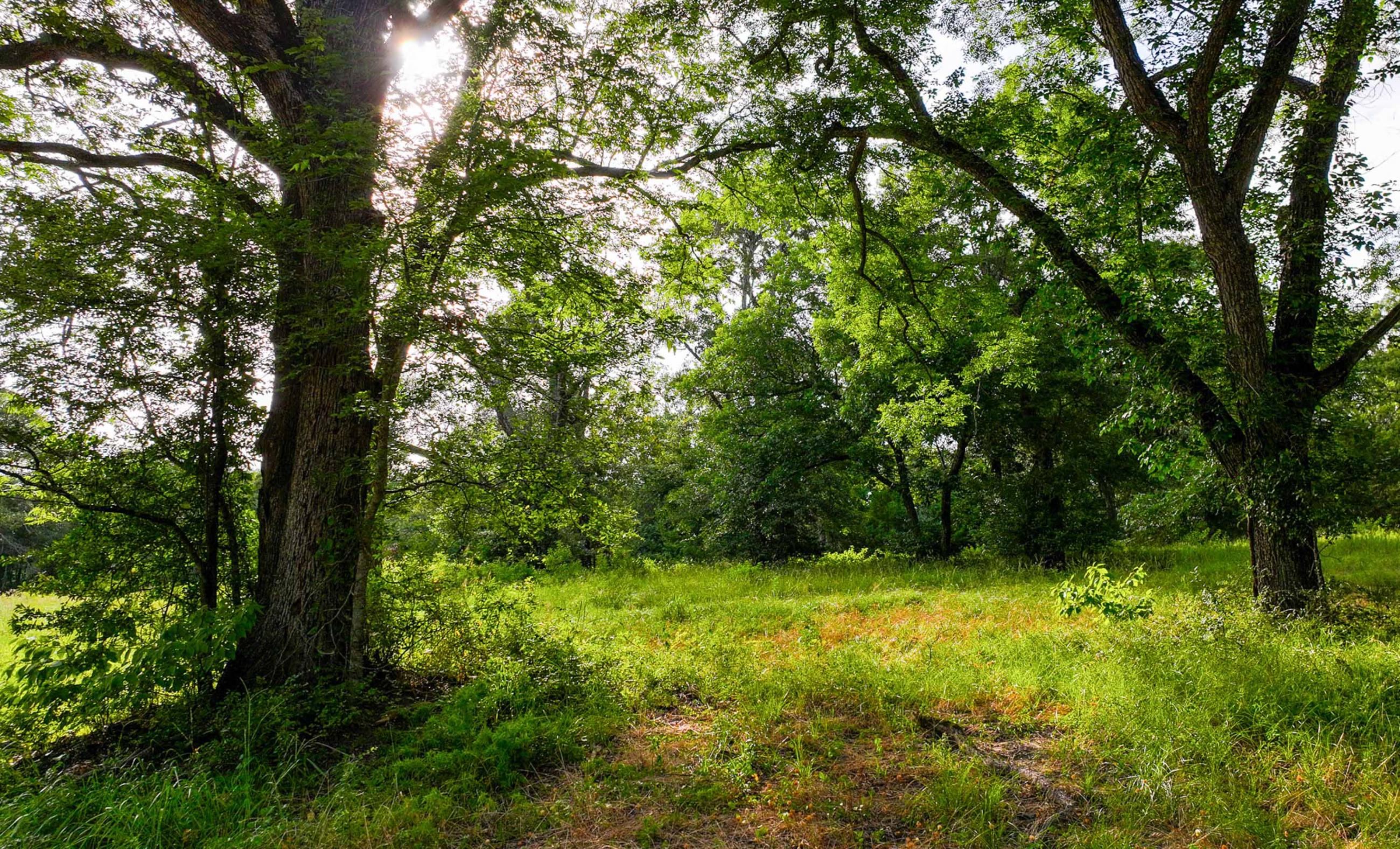Flowing Springs Ranch | Chas S. Middleton