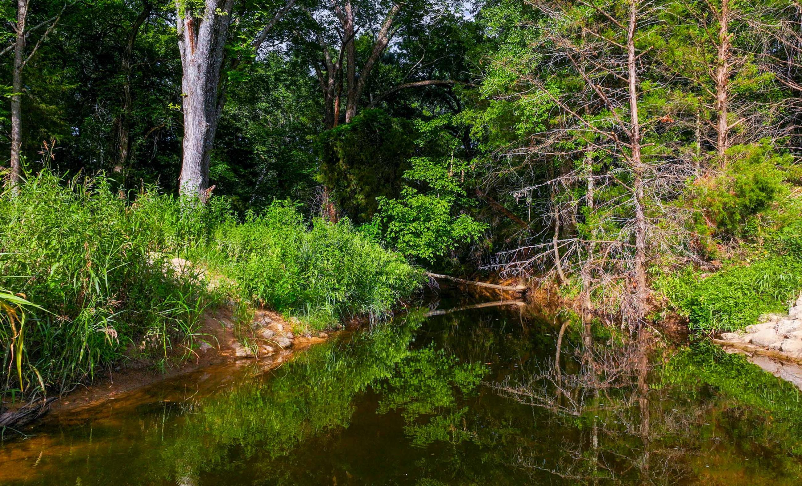 Flowing Springs Ranch | Chas S. Middleton