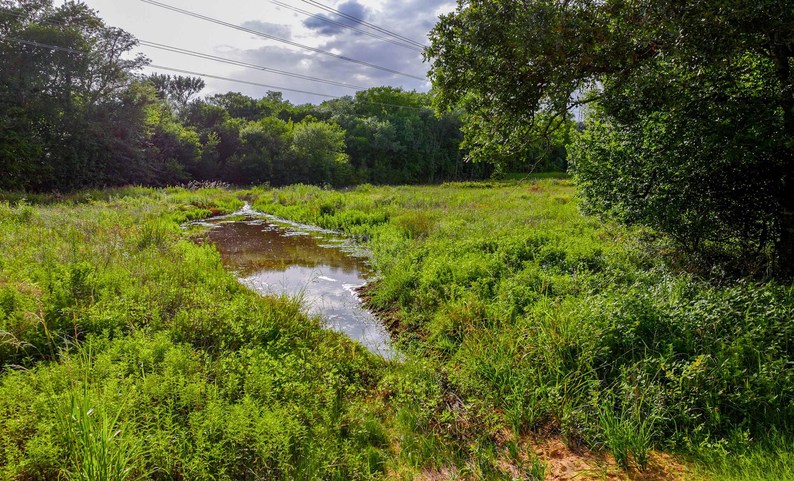 Flowing Springs Ranch | Chas S. Middleton
