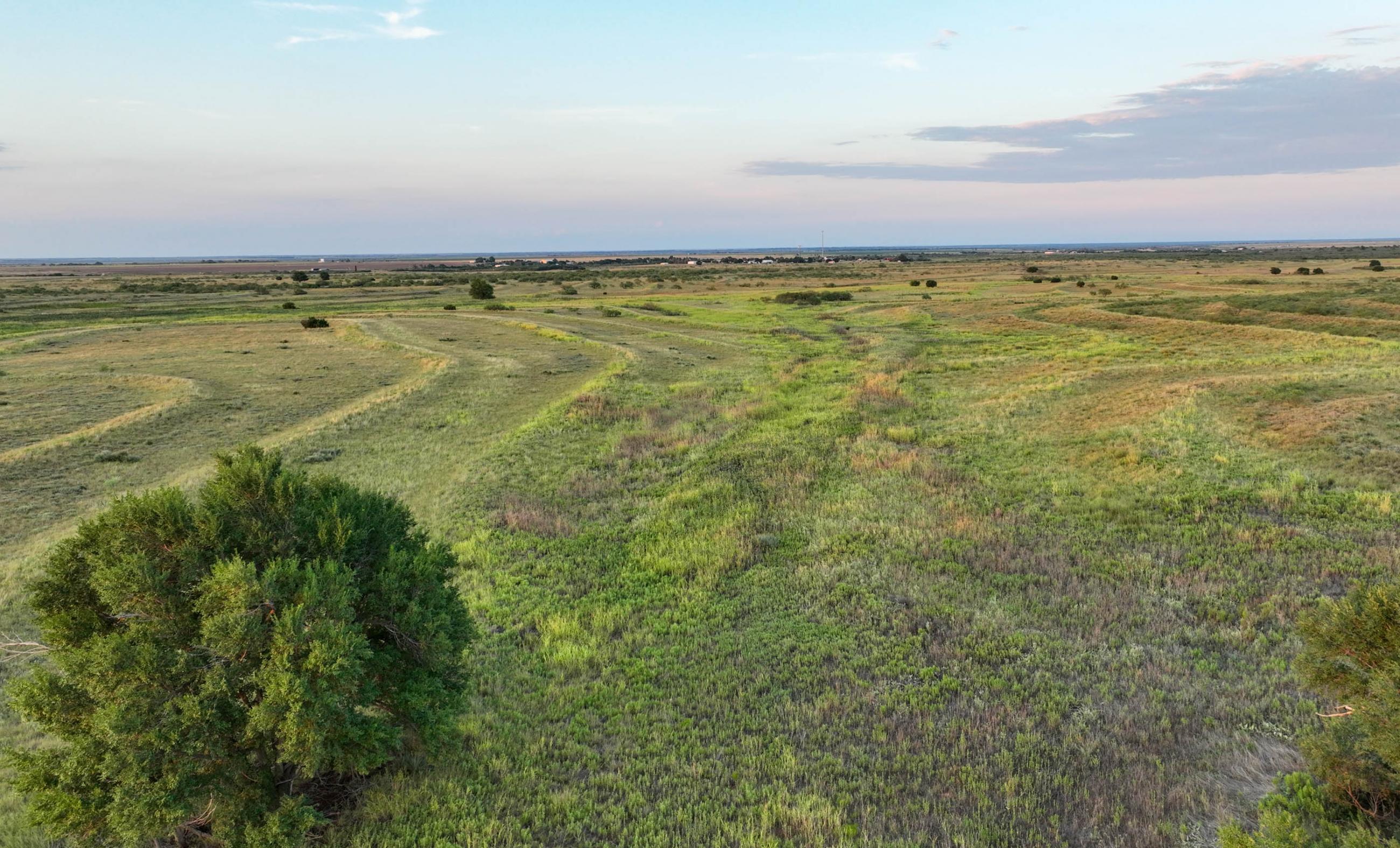 Ross Family 220 Ranch | Chas S. Middleton