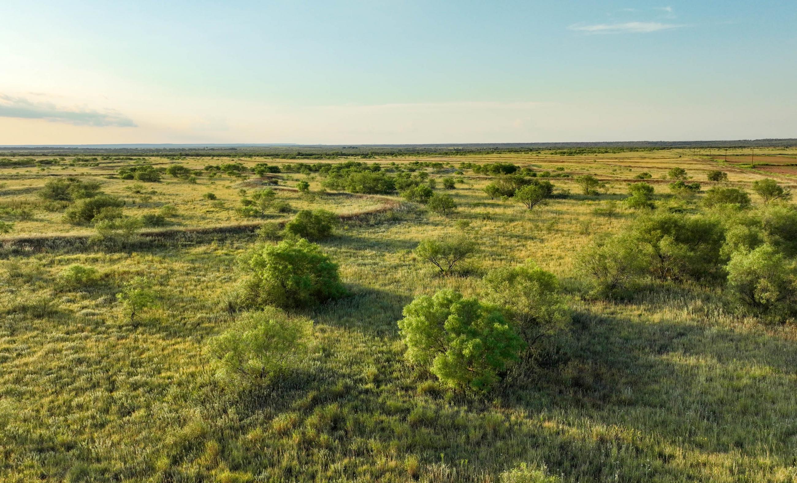 Ross Family Ranch | Chas S. Middleton