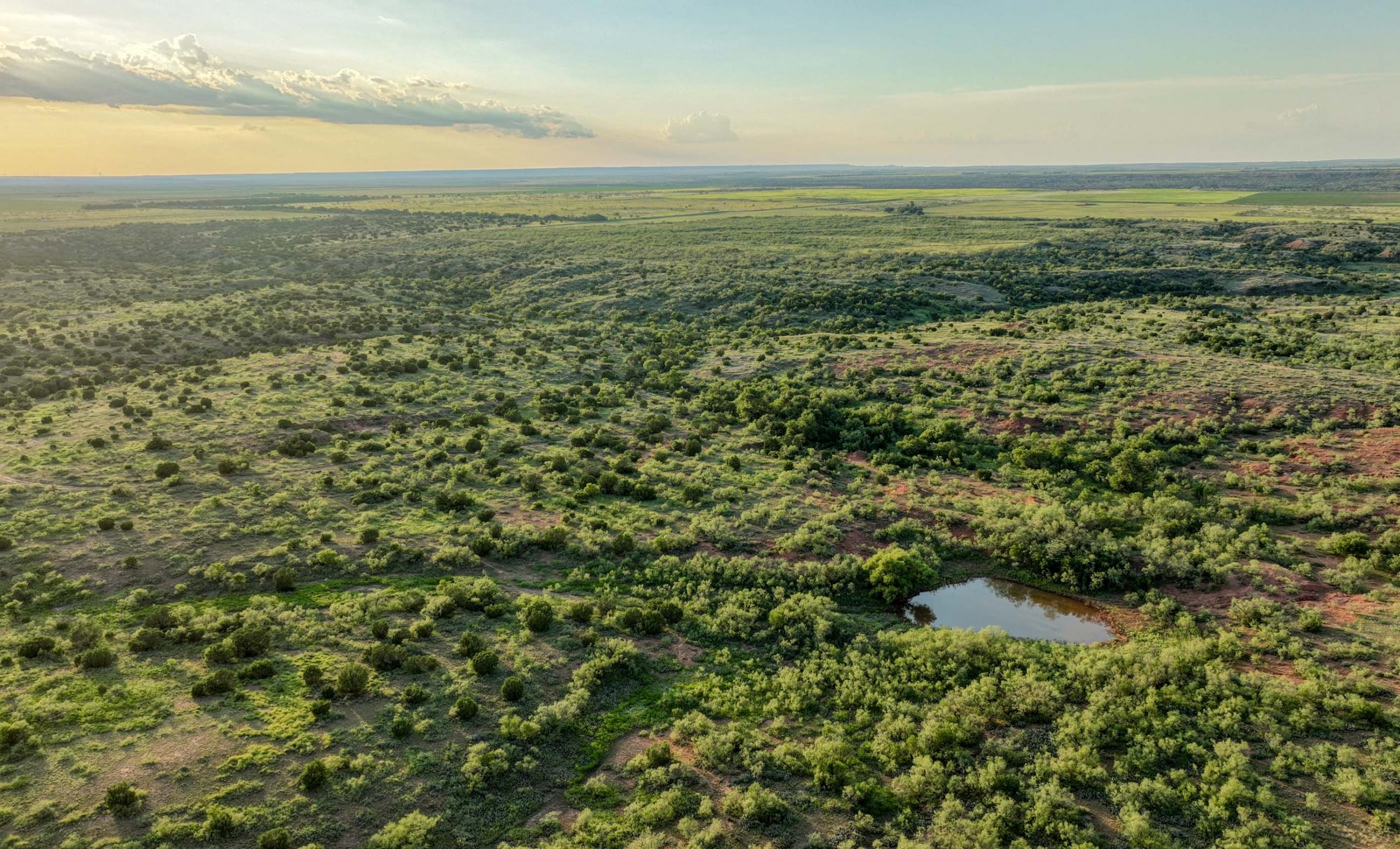 Ross Family Ranch | Chas S. Middleton