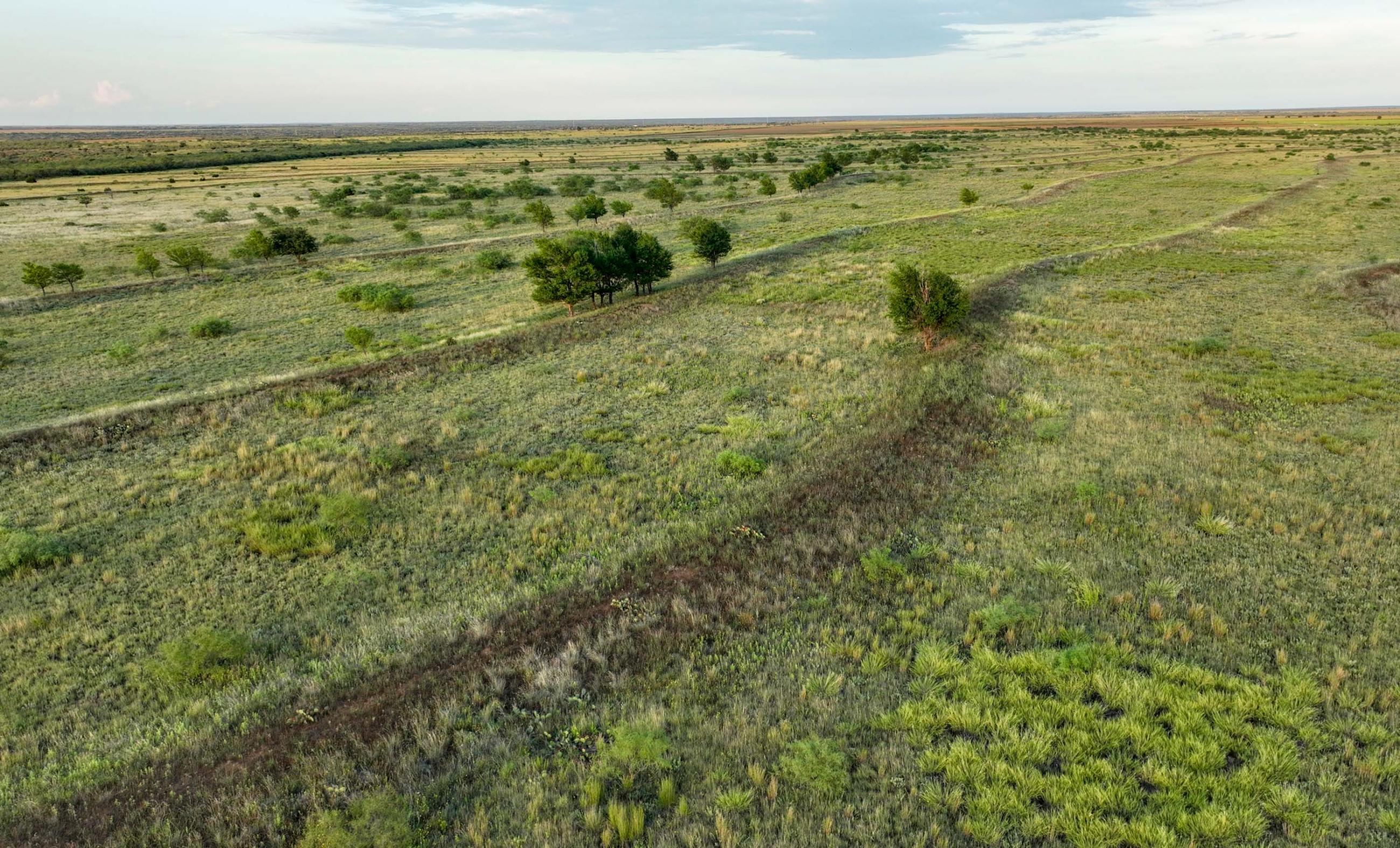 Ross Family Ranch | Chas S. Middleton