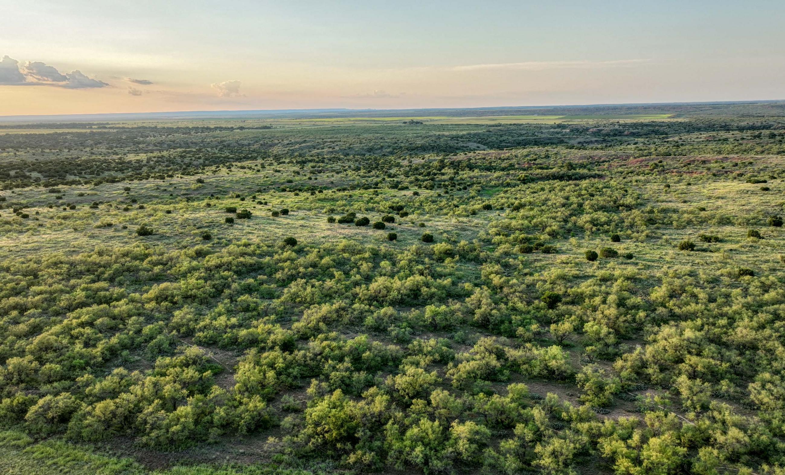 Ross Family Ranch | Chas S. Middleton