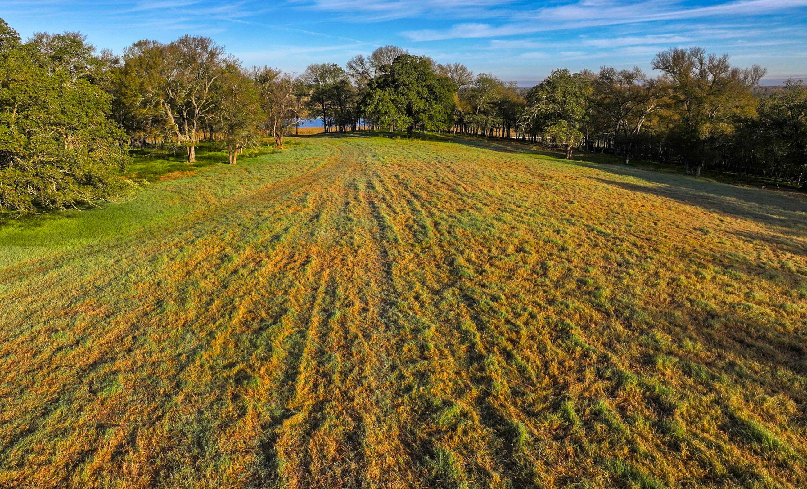 rosebud river ranch boarding