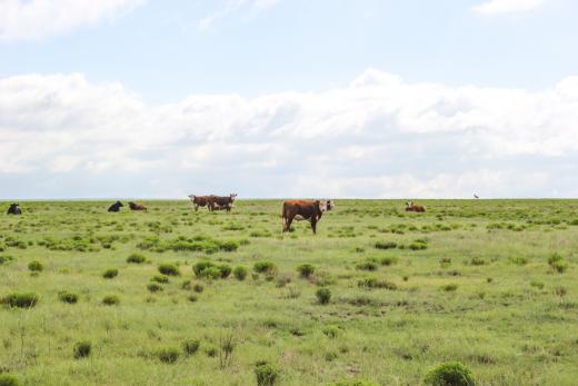 Ranches for Sale | Chas S. Middleton