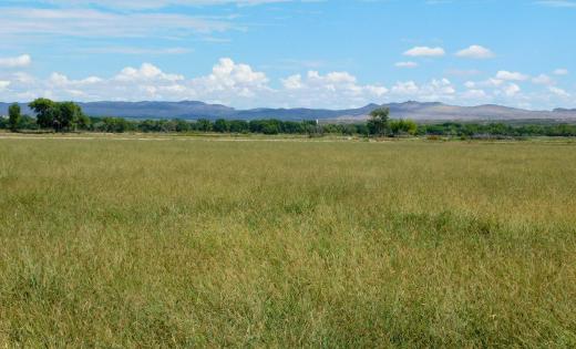 New Mexico Ranches, Farms and Land for Sale | Chas S. Middleton