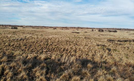 Texas Ranches, Farms and Land for Sale | Chas S. Middleton