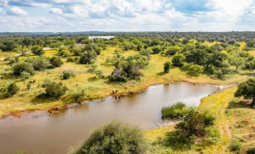 Texas Ranches, Farms and Land for Sale | Chas S. Middleton