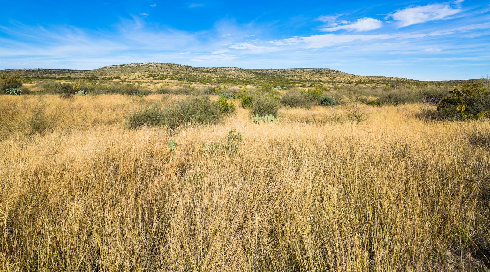 Cerf Pasture of the Longfellow Ranch | Chas S. Middleton