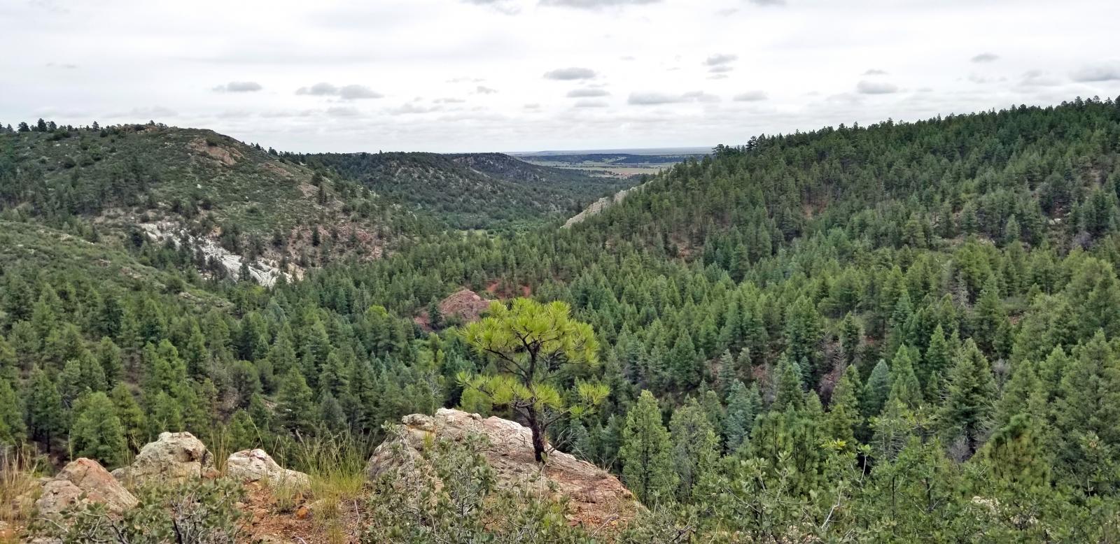 La Bonita Ranch | Chas S. Middleton