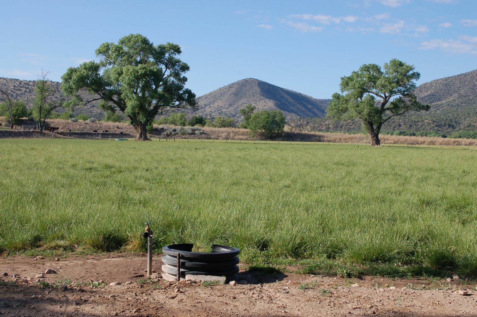 Holt Mountain Ranch | Chas S. Middleton