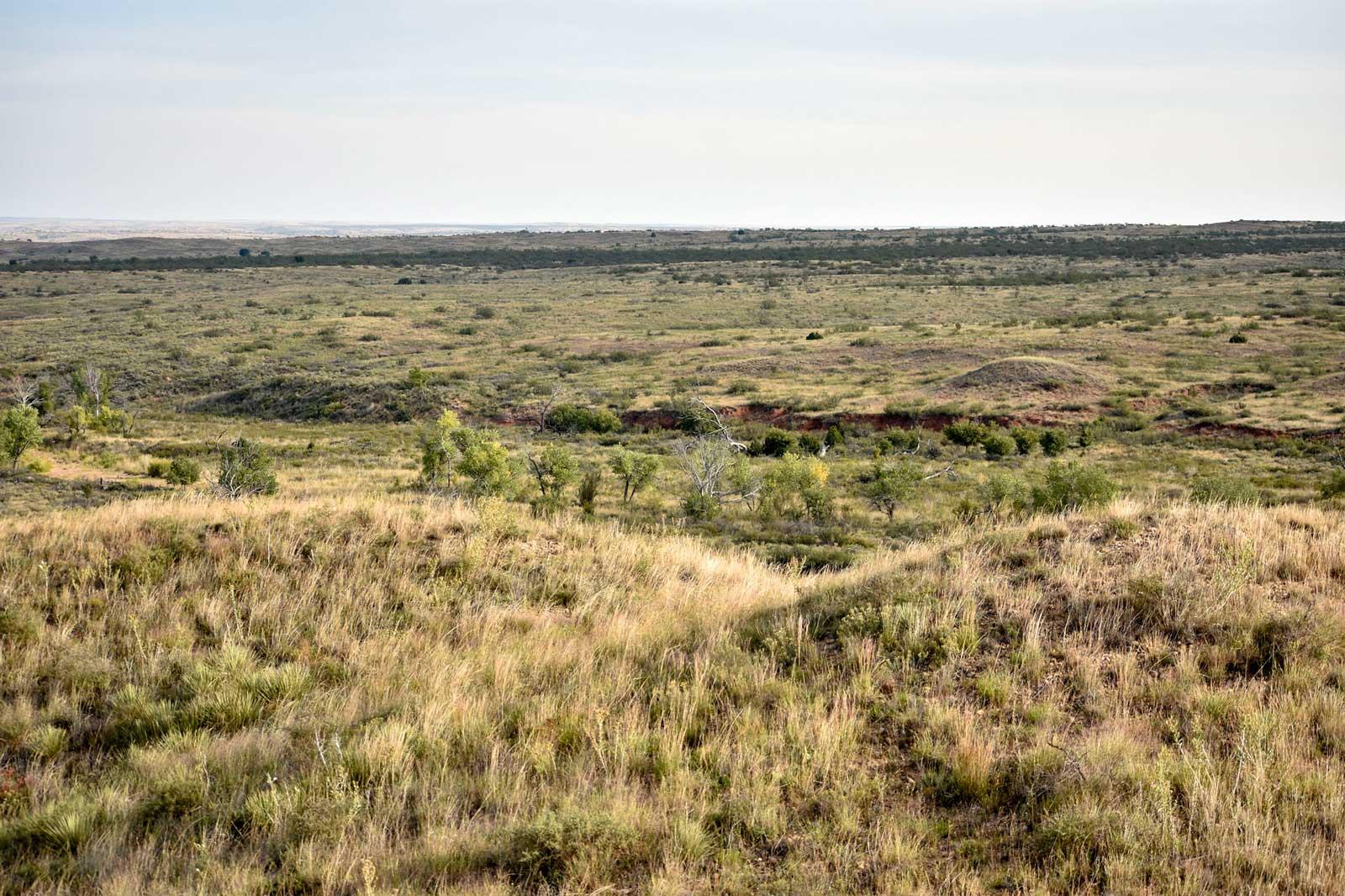 Conrad Ranch | Chas S. Middleton