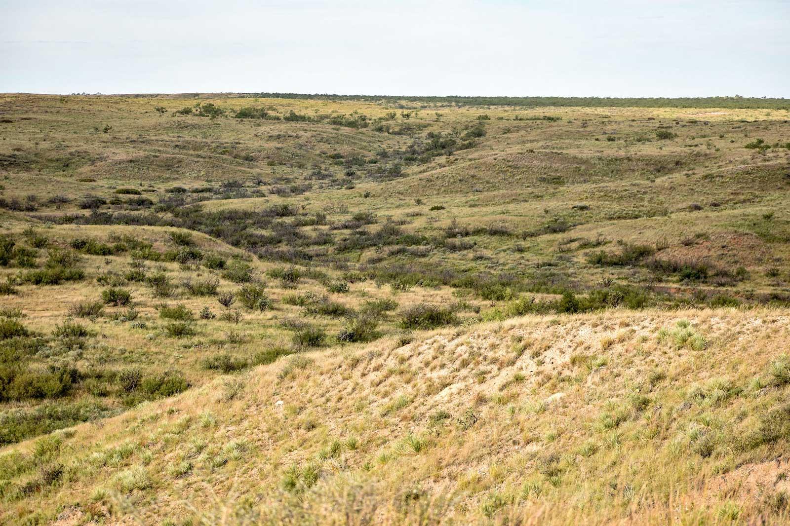 Conrad Ranch | Chas S. Middleton