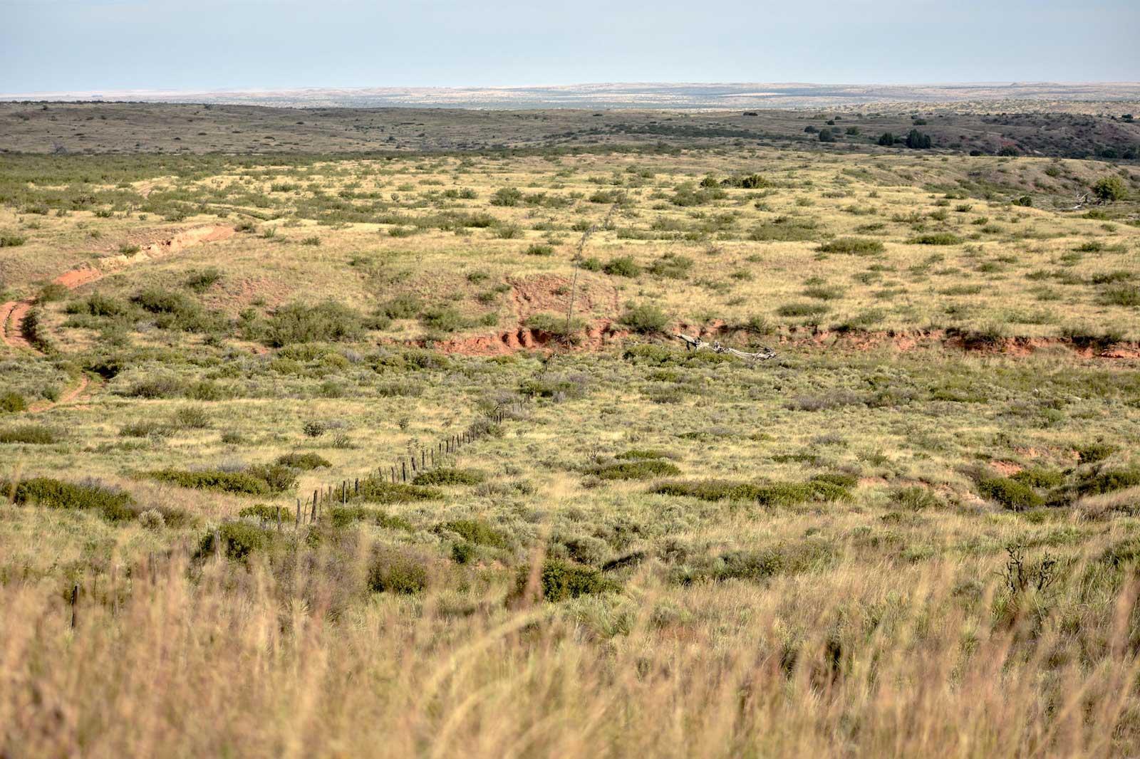 Conrad Ranch | Chas S. Middleton