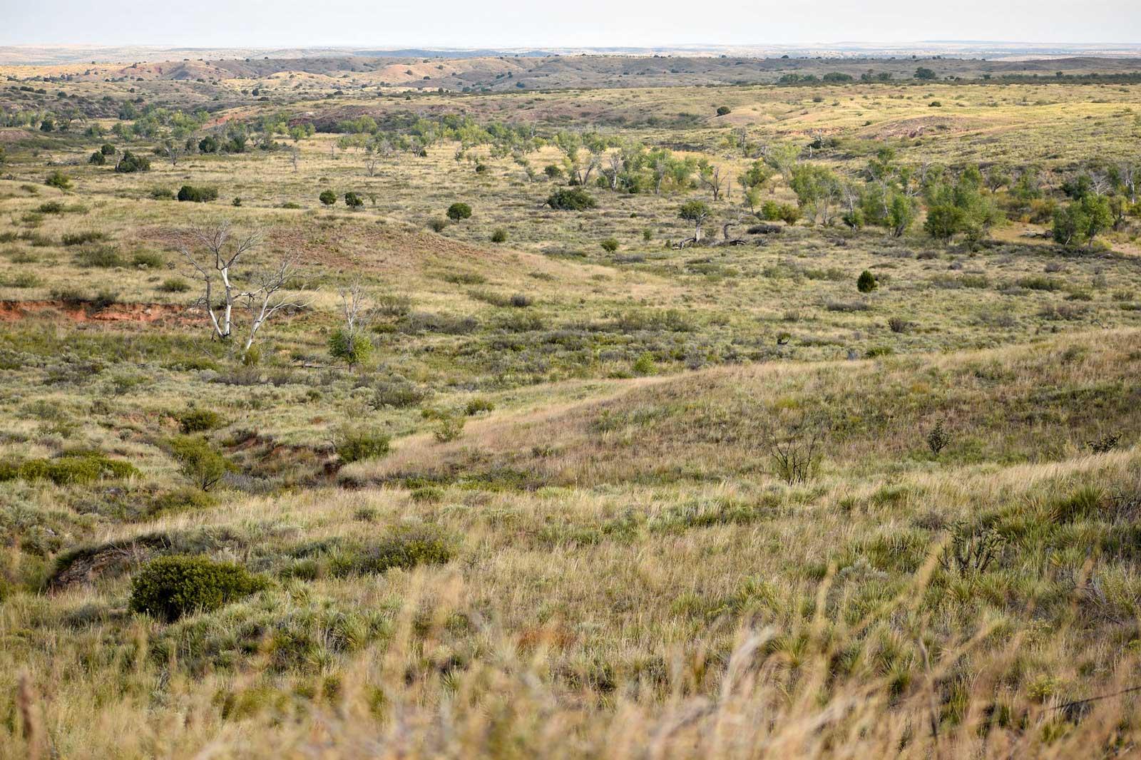 Conrad Ranch | Chas S. Middleton